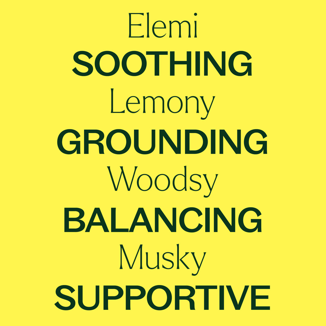 Elemi Essential Oil – Plant Therapy