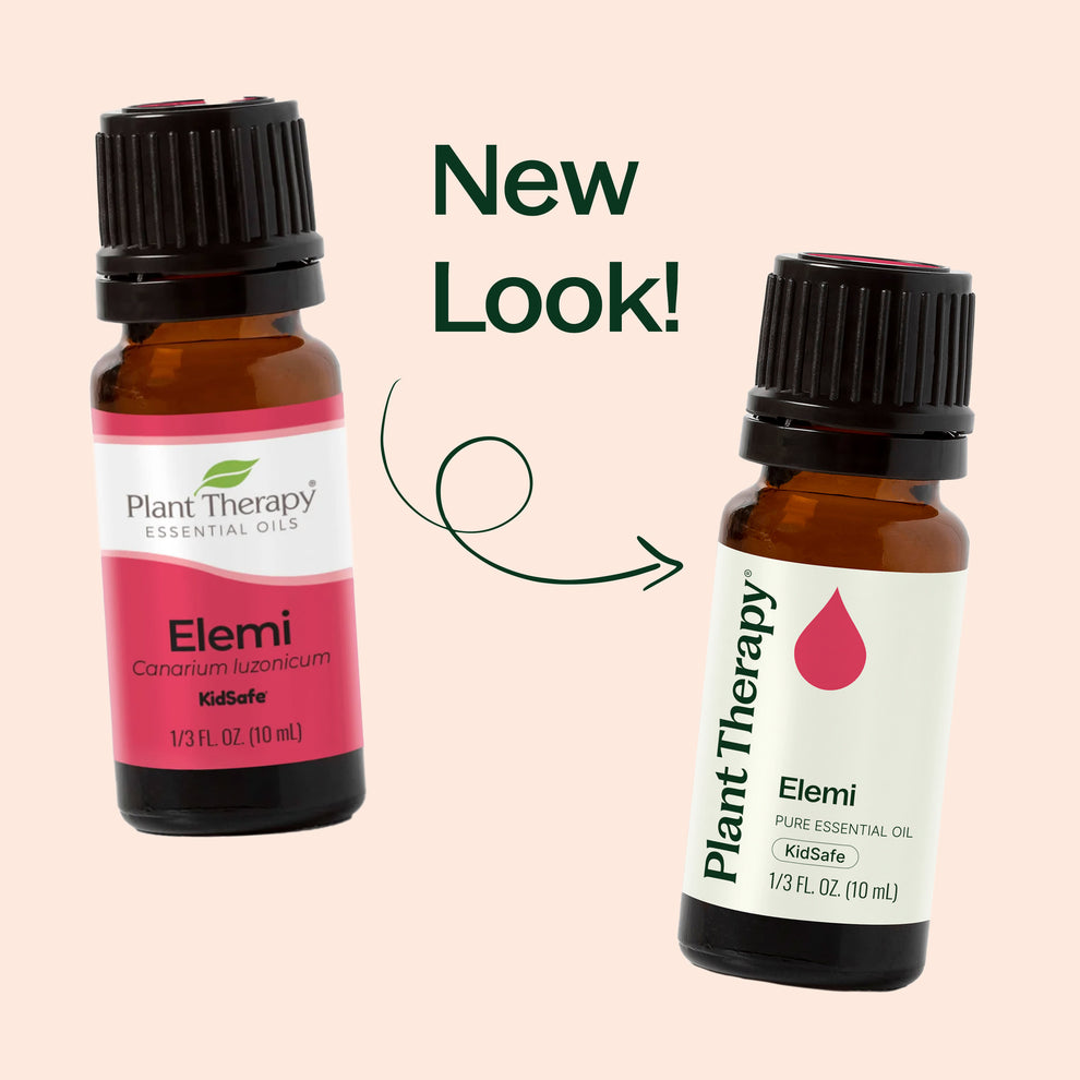 Elemi Essential Oil – Plant Therapy