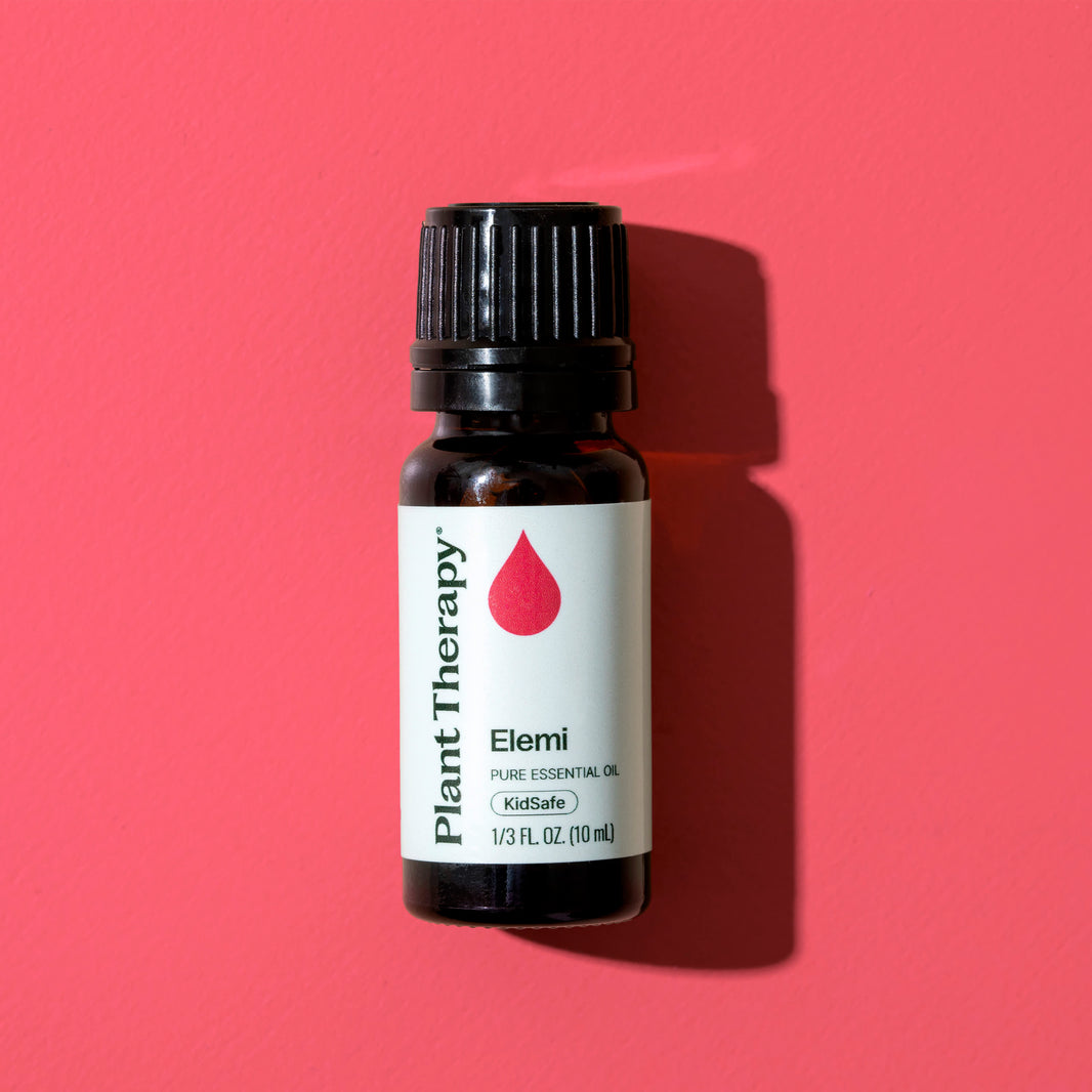 Elemi Essential Oil – Plant Therapy