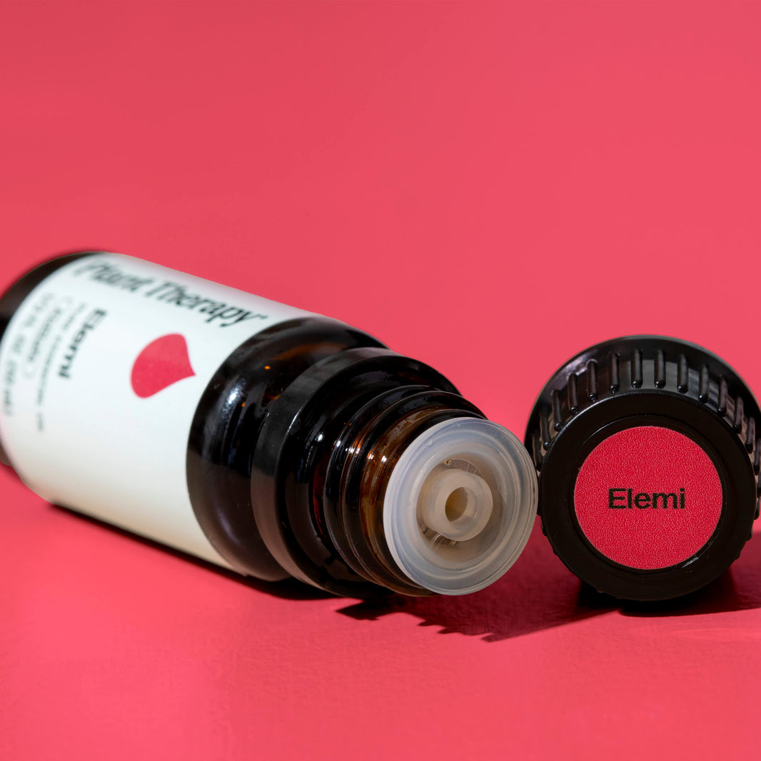 Elemi Essential Oil – Plant Therapy