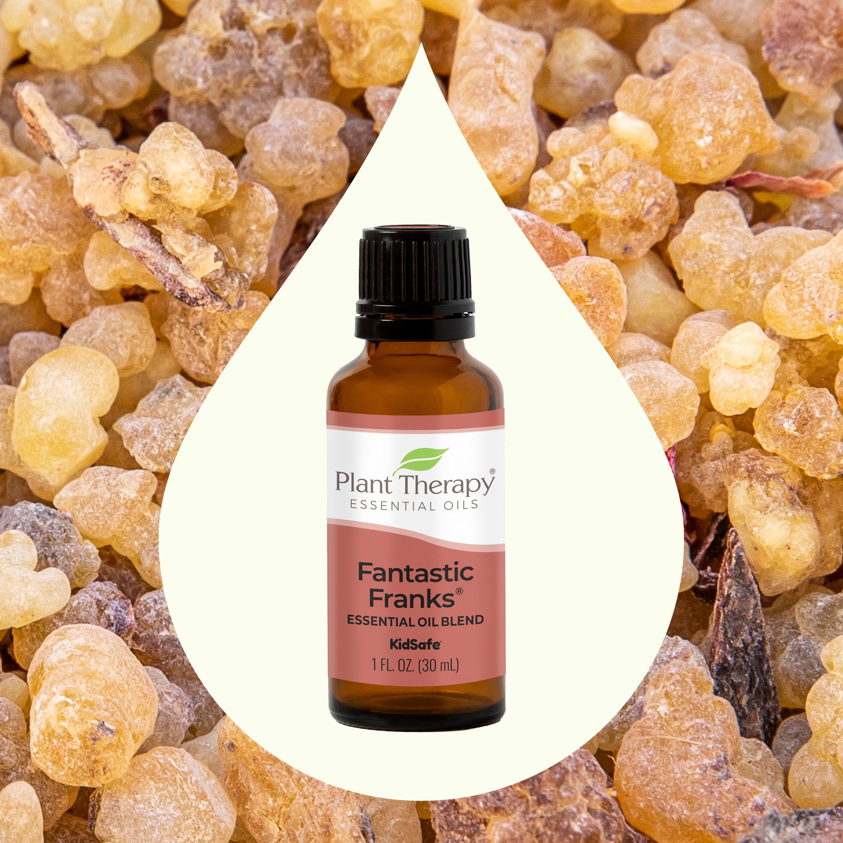 Fantastic Franks™ Essential Oil Blend – Plant Therapy