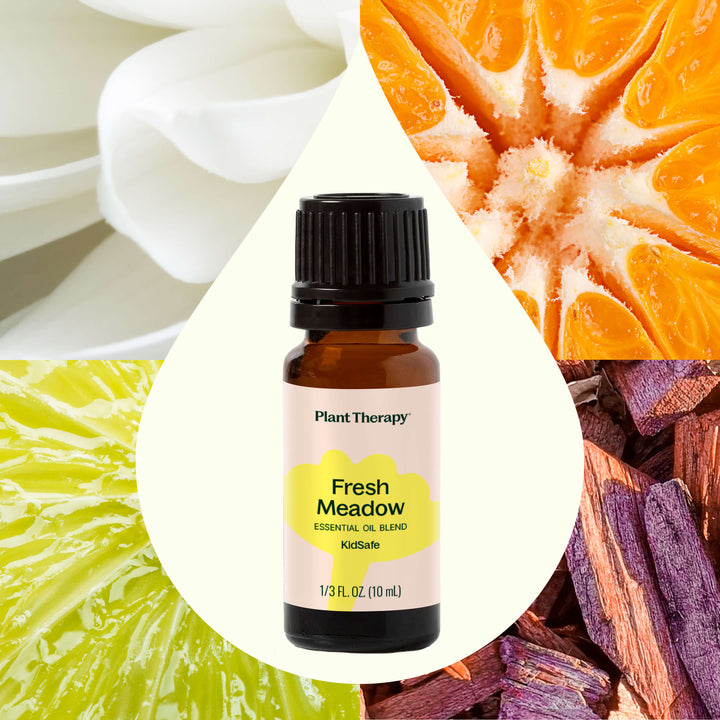 New Arrivals at Plant Therapy - Discover the Latest in Essential Oils ...