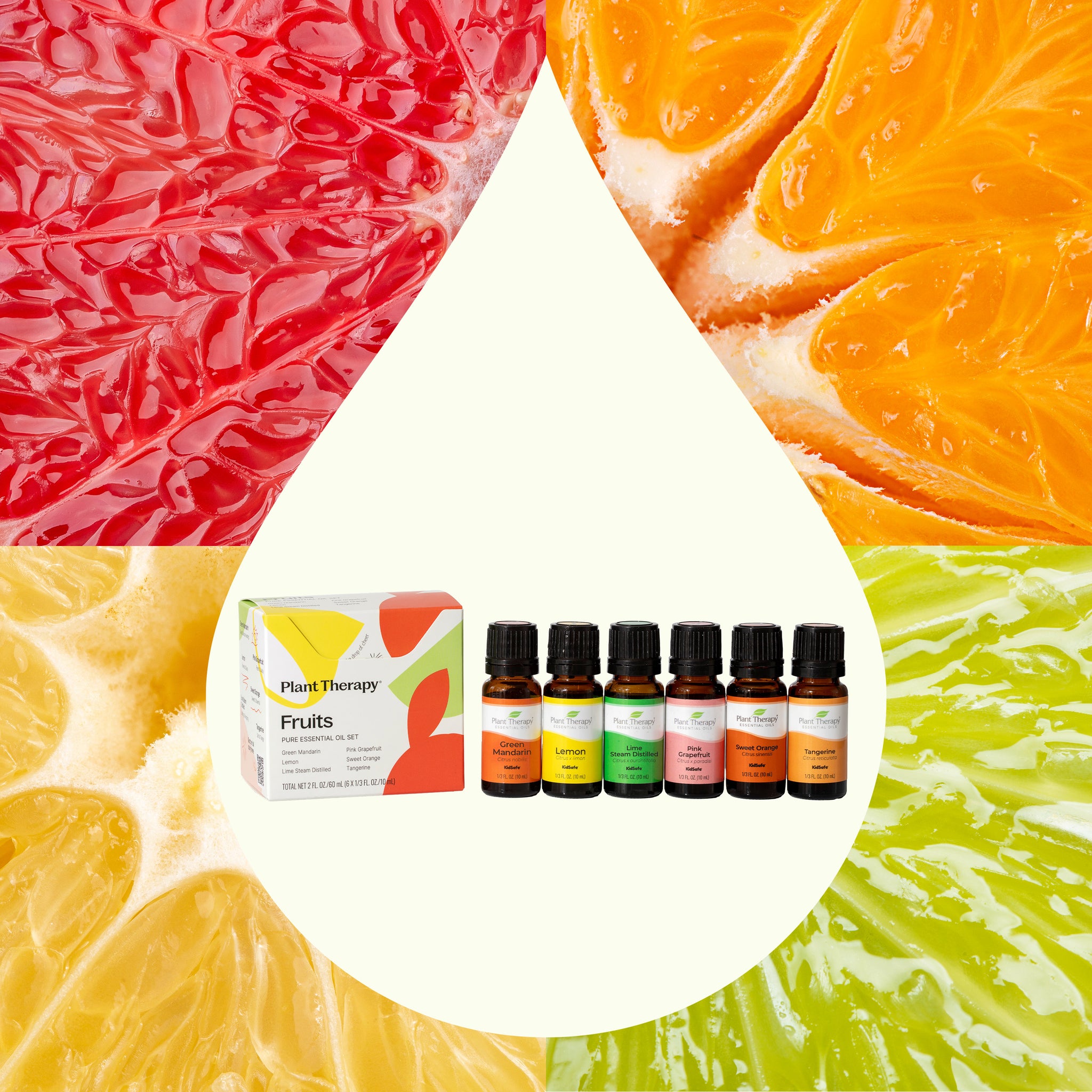 Fruits Set – Plant Therapy
