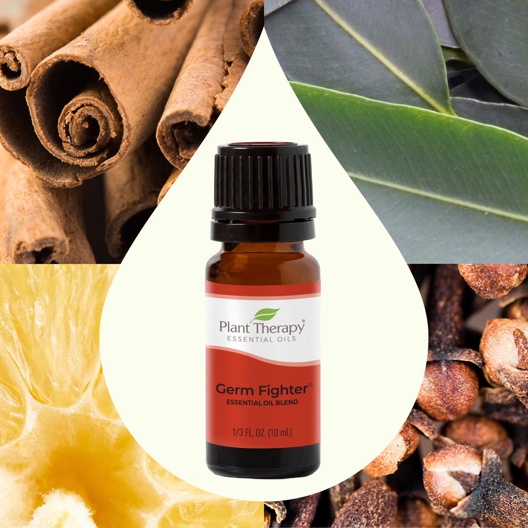 Germ Fighter Essential Oil Blend – Plant Therapy