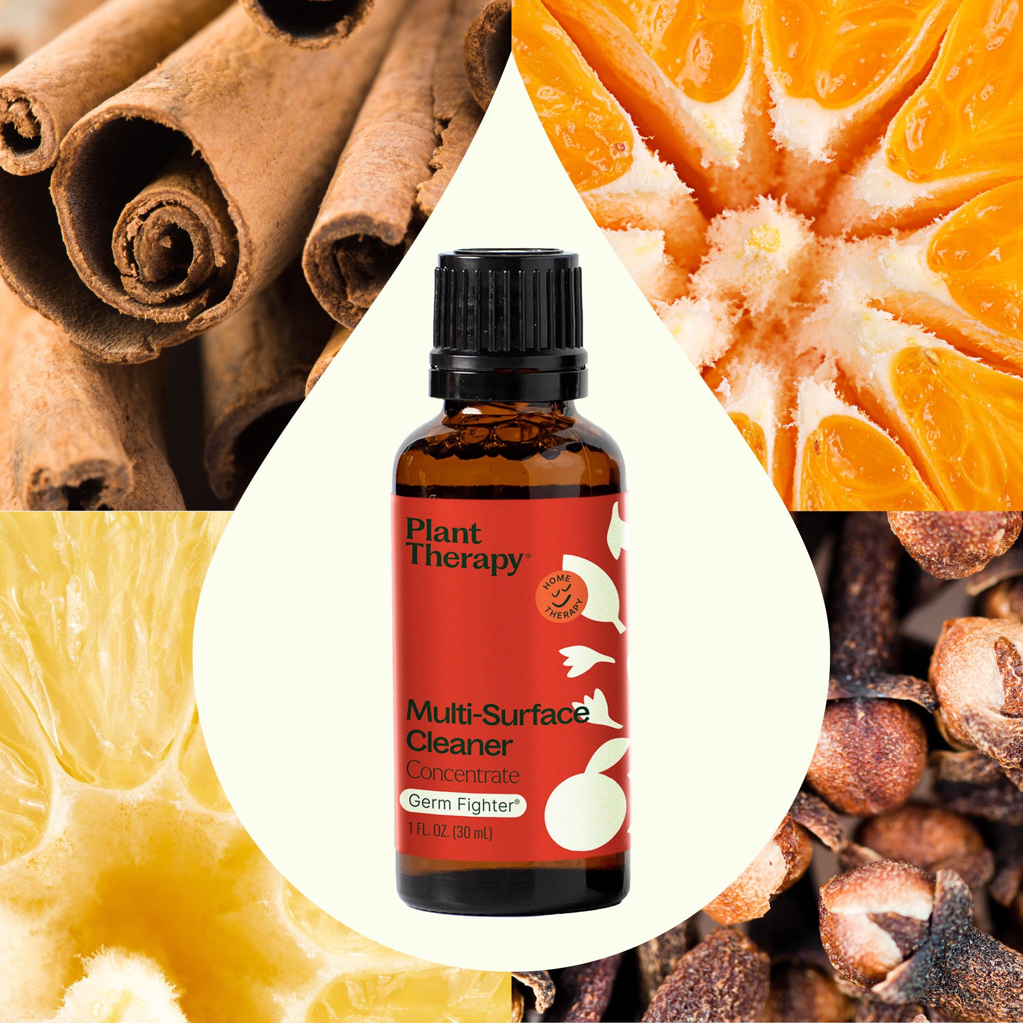 Germ Fighter Multi-Surface Cleaner Concentrate 30 mL 2 pack – Plant Therapy