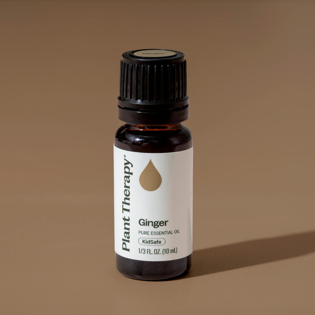 Ginger Essential Oil – Plant Therapy
