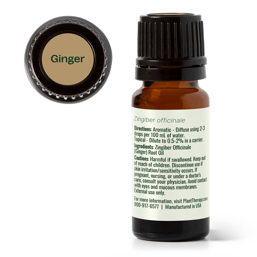 Ginger Essential Oil – Plant Therapy