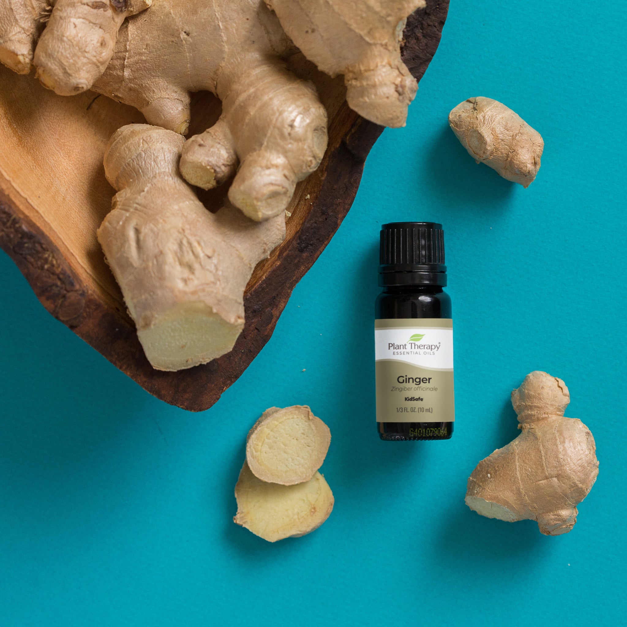 Ginger Essential Oil – Plant Therapy