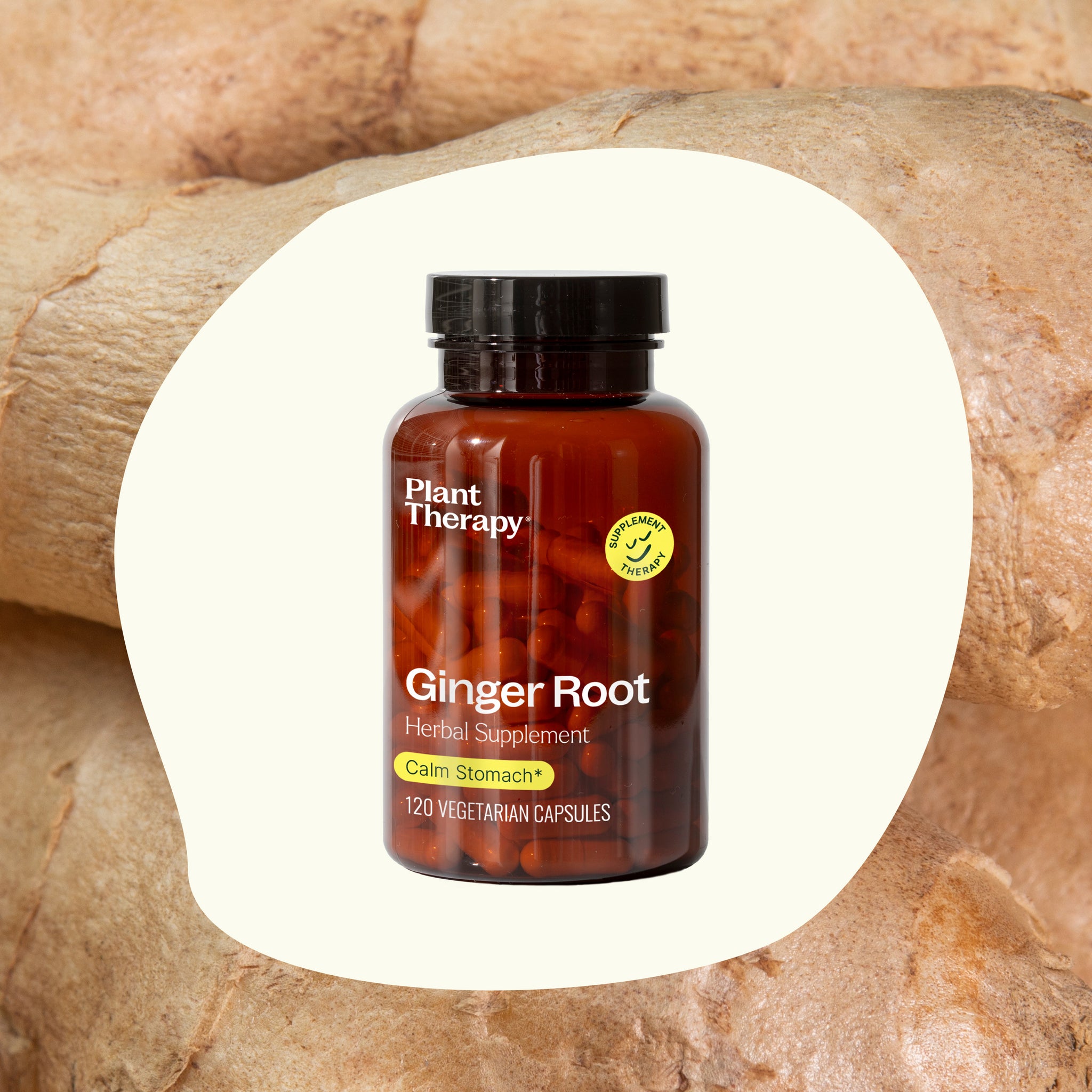 Ginger Root Herbal Supplement | Ginger Root Extract | Plant Therapy