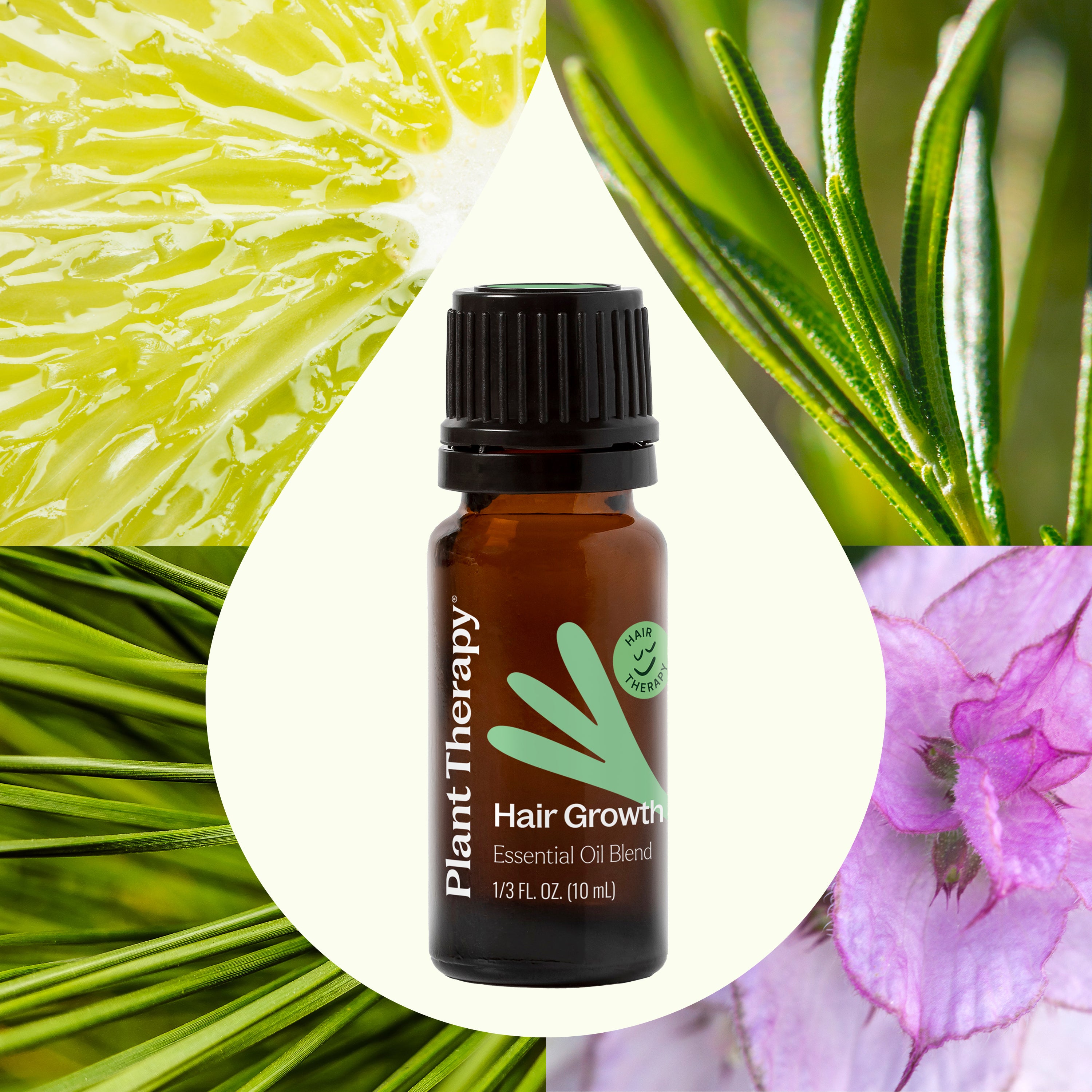 Essential Oils For Hair Growth | Essential Oils, Balms, & Serums For ...