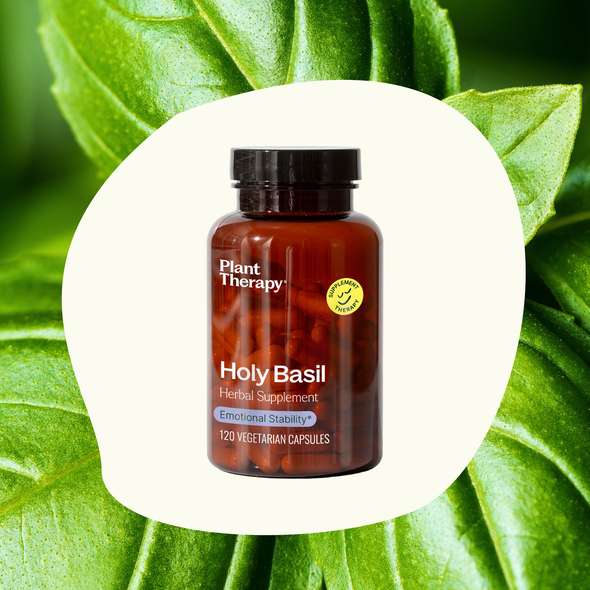 Holy Basil Herbal Supplement Capsules | Holy Basil Supplements | Plant ...