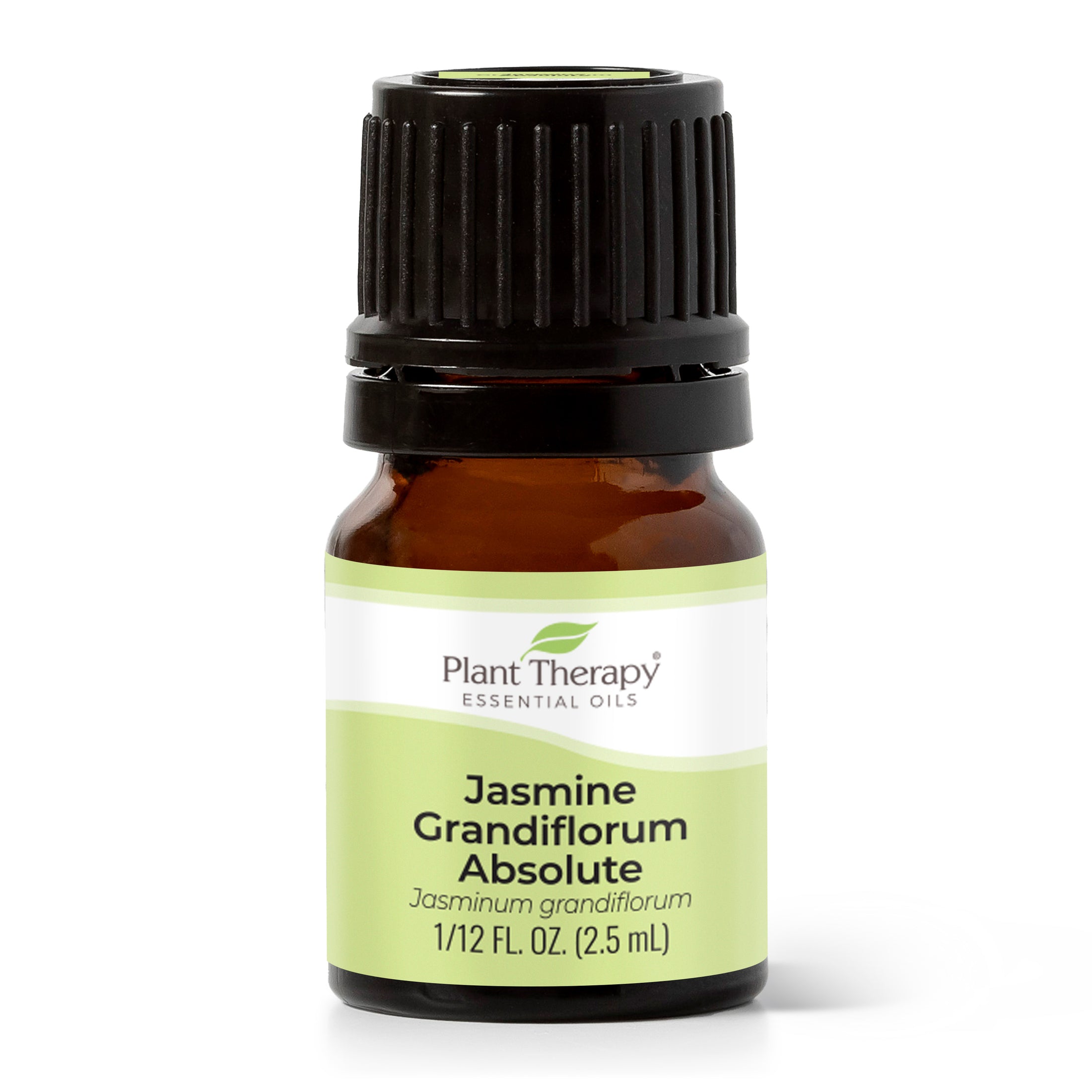 Jasmine Grandiflorum Absolute – Plant Therapy