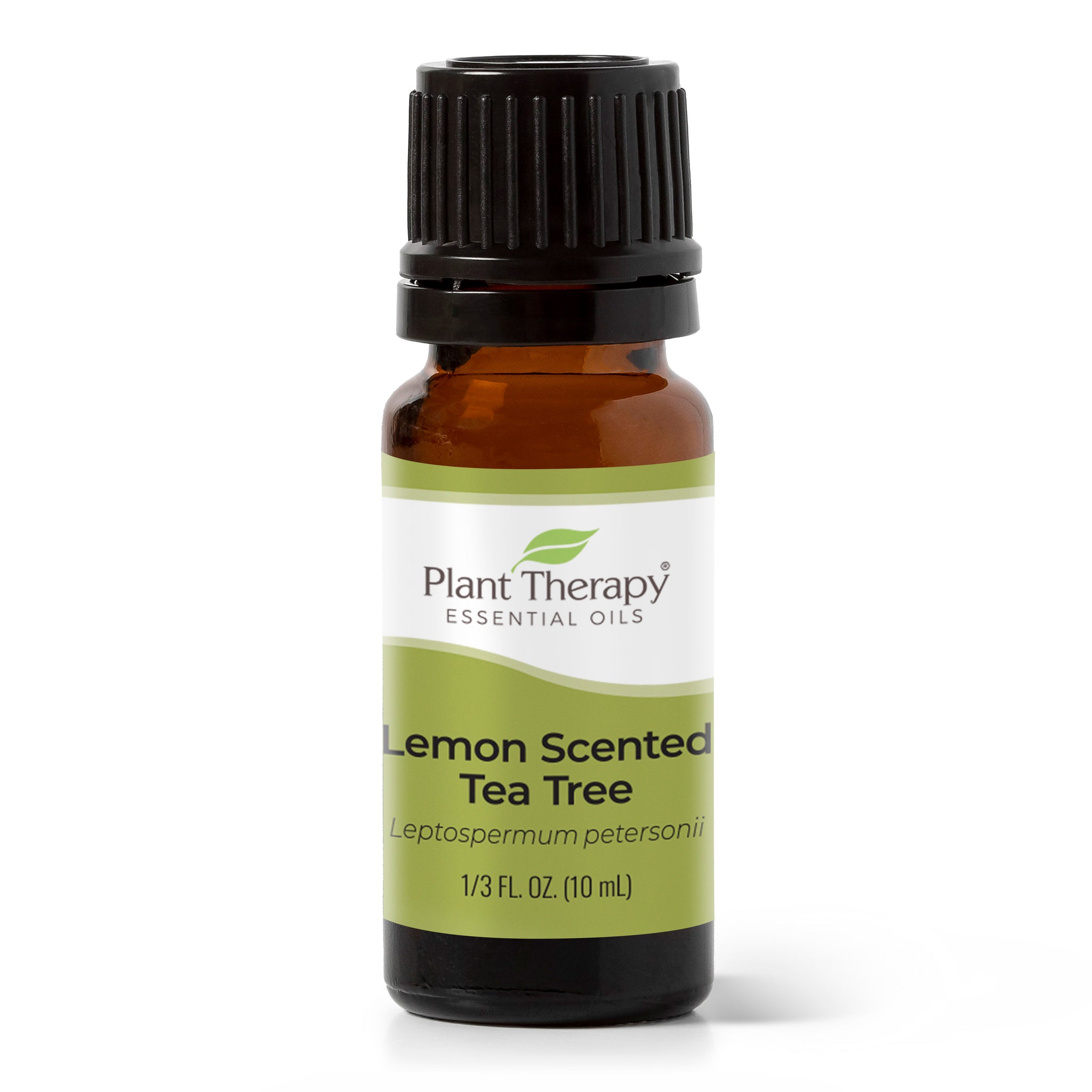 Lemon Scented Tea Tree Essential Oil – Plant Therapy