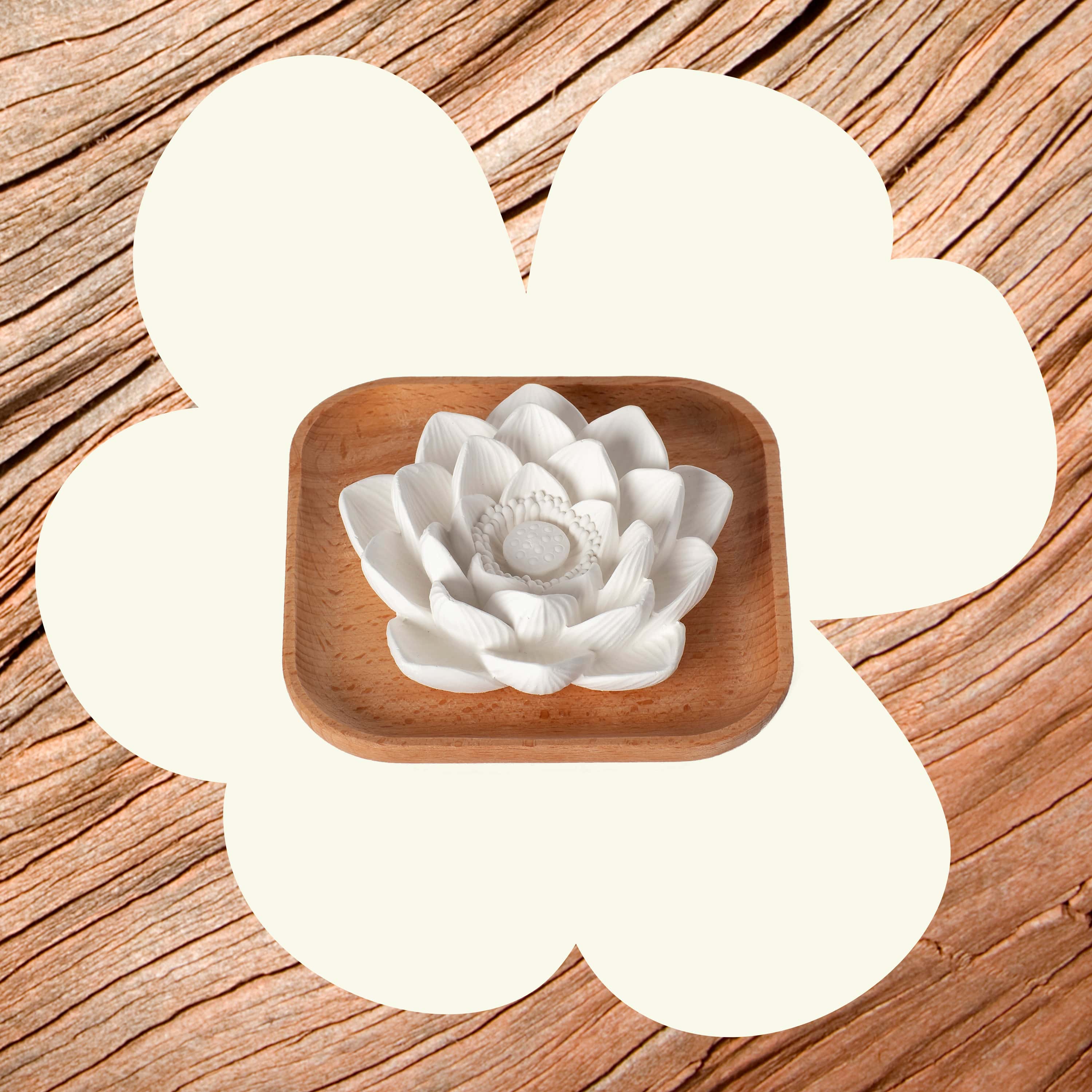 Passive Lotus Diffuser – Plant Therapy