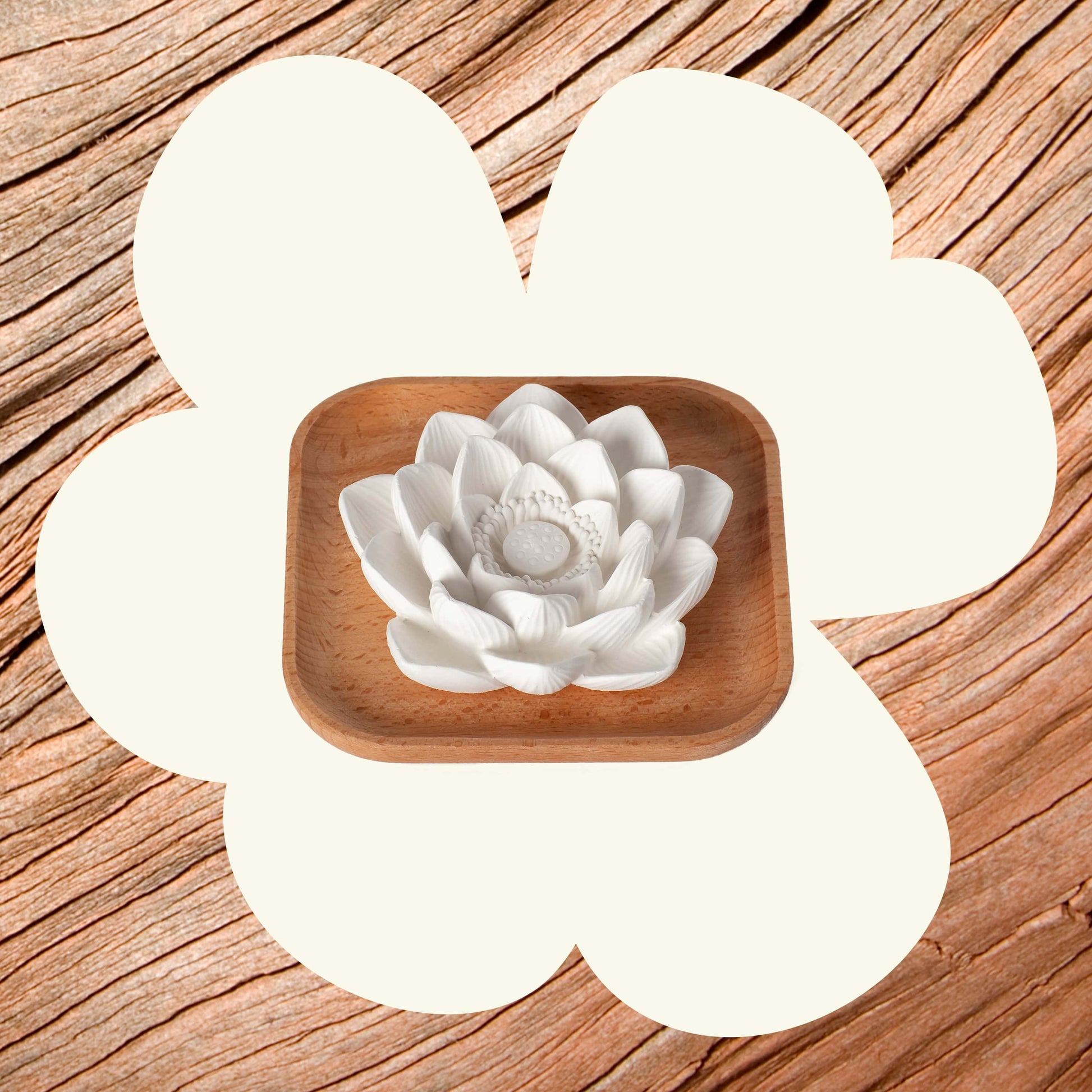 Passive Lotus Diffuser – Plant Therapy