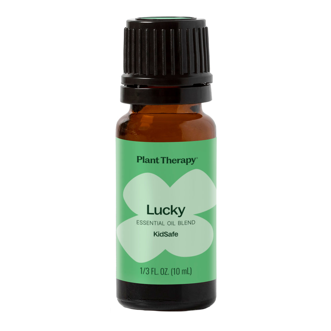New Arrivals at Plant Therapy - Discover the Latest in Essential Oils ...
