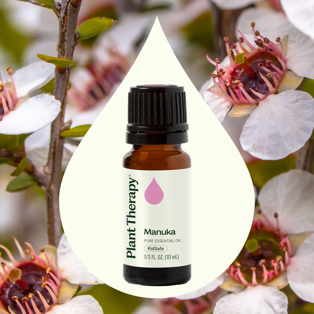 Manuka Essential Oil – Plant Therapy