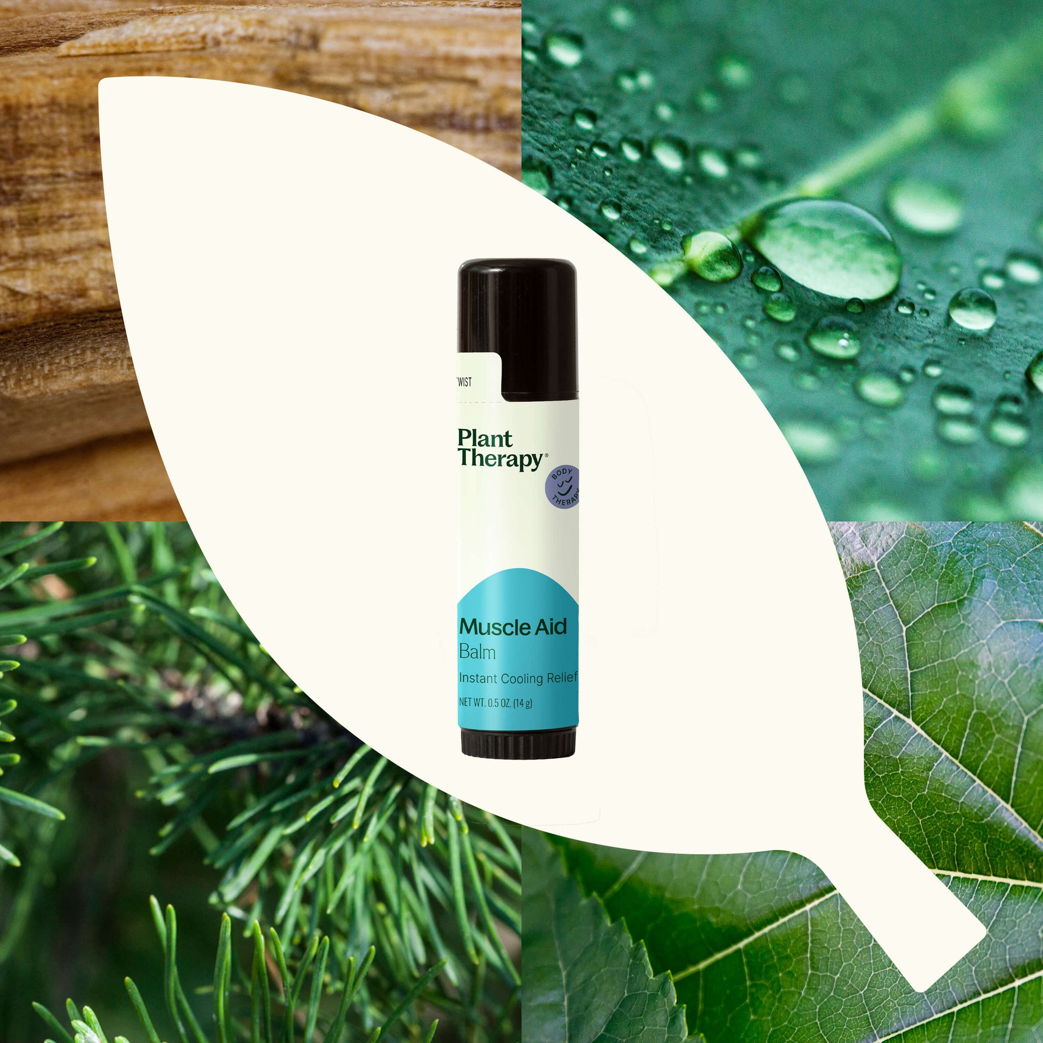 Muscle Aid Balm – Plant Therapy