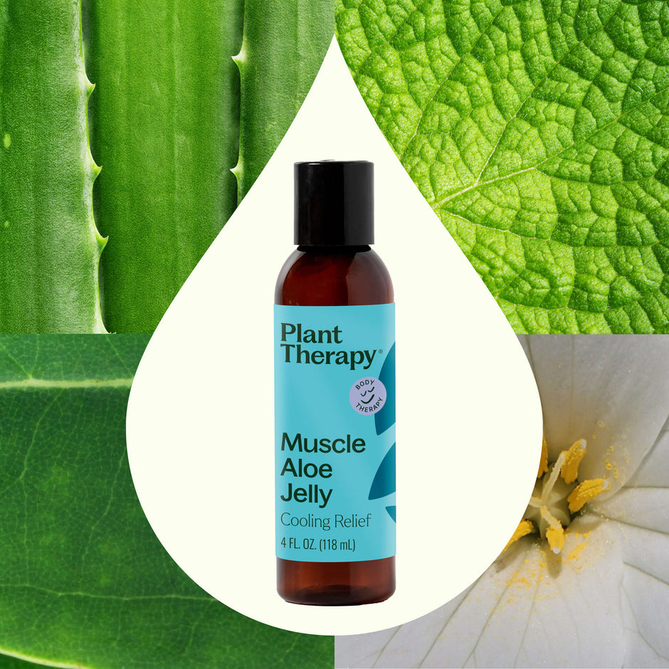 Muscle Aid by Plant Therapy - Essential Oil-Infused Recovery Solutions
