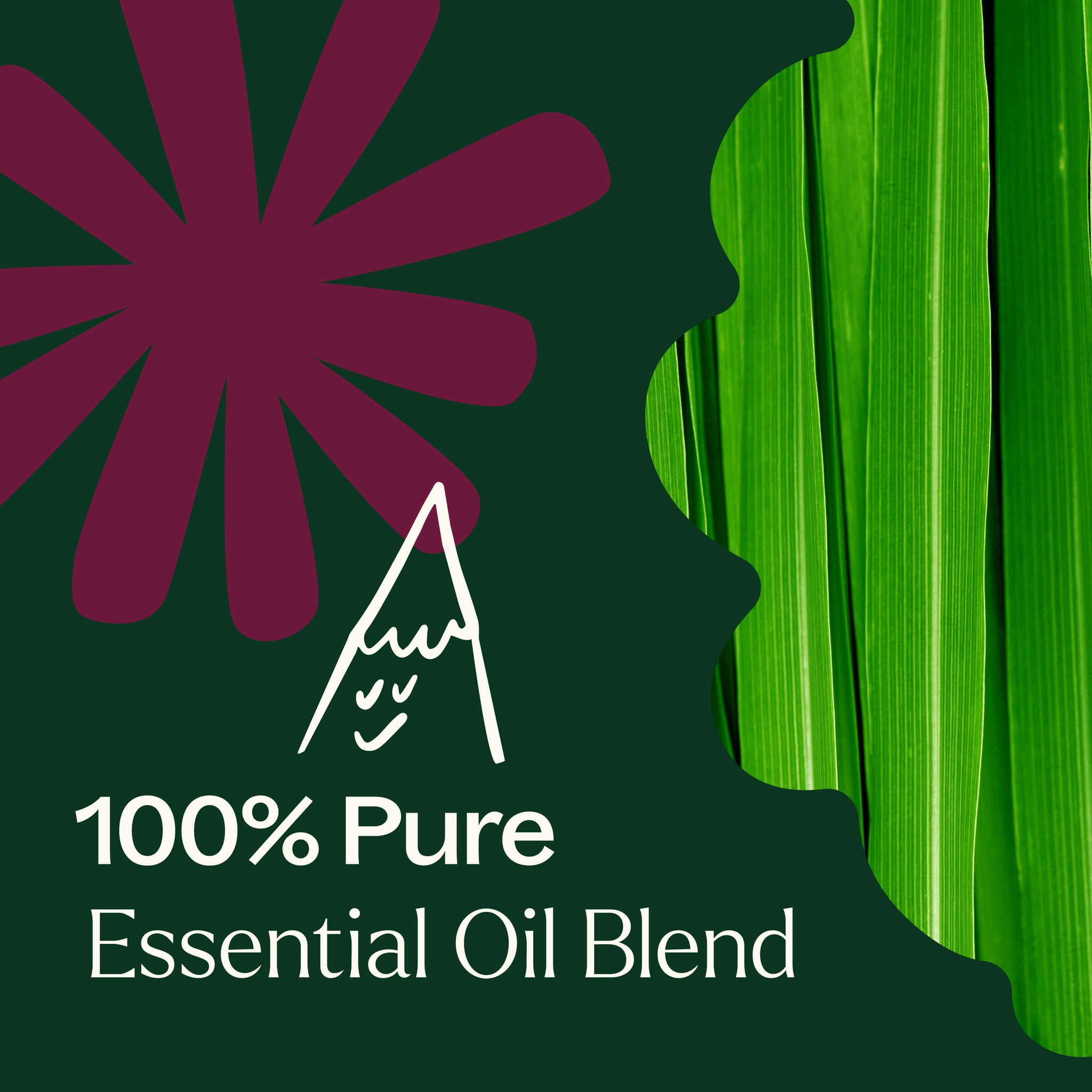 Nature Shield Essential Oil Blend – Plant Therapy