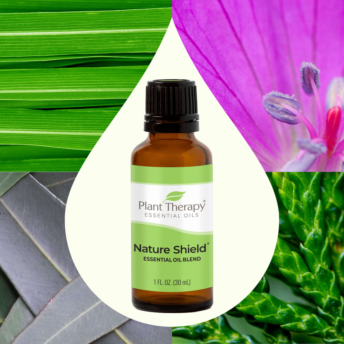 Nature Shield Essential Oil Blend – Plant Therapy