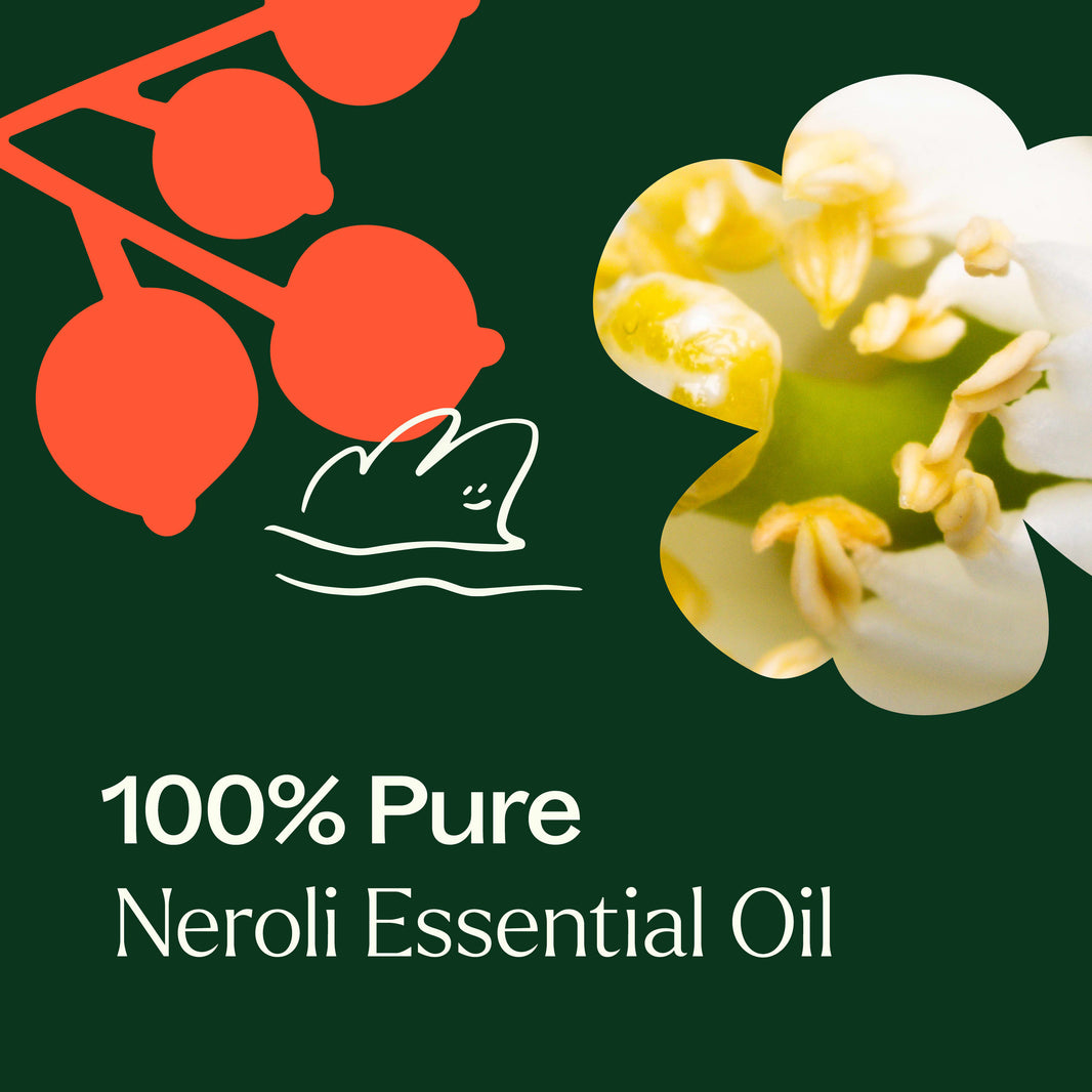 Neroli Essential Oil – Plant Therapy