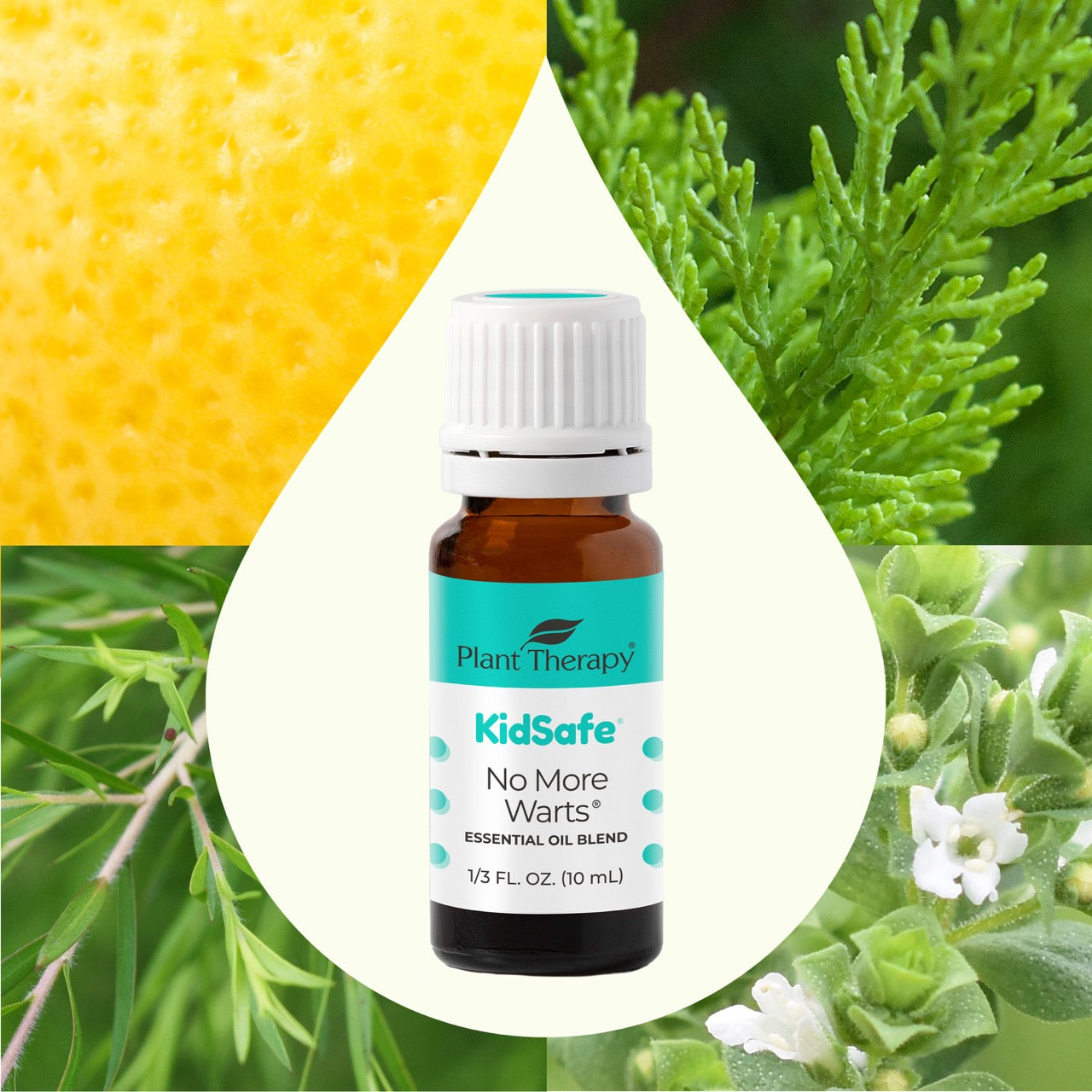 No More Warts KidSafe Essential Oil – Plant Therapy