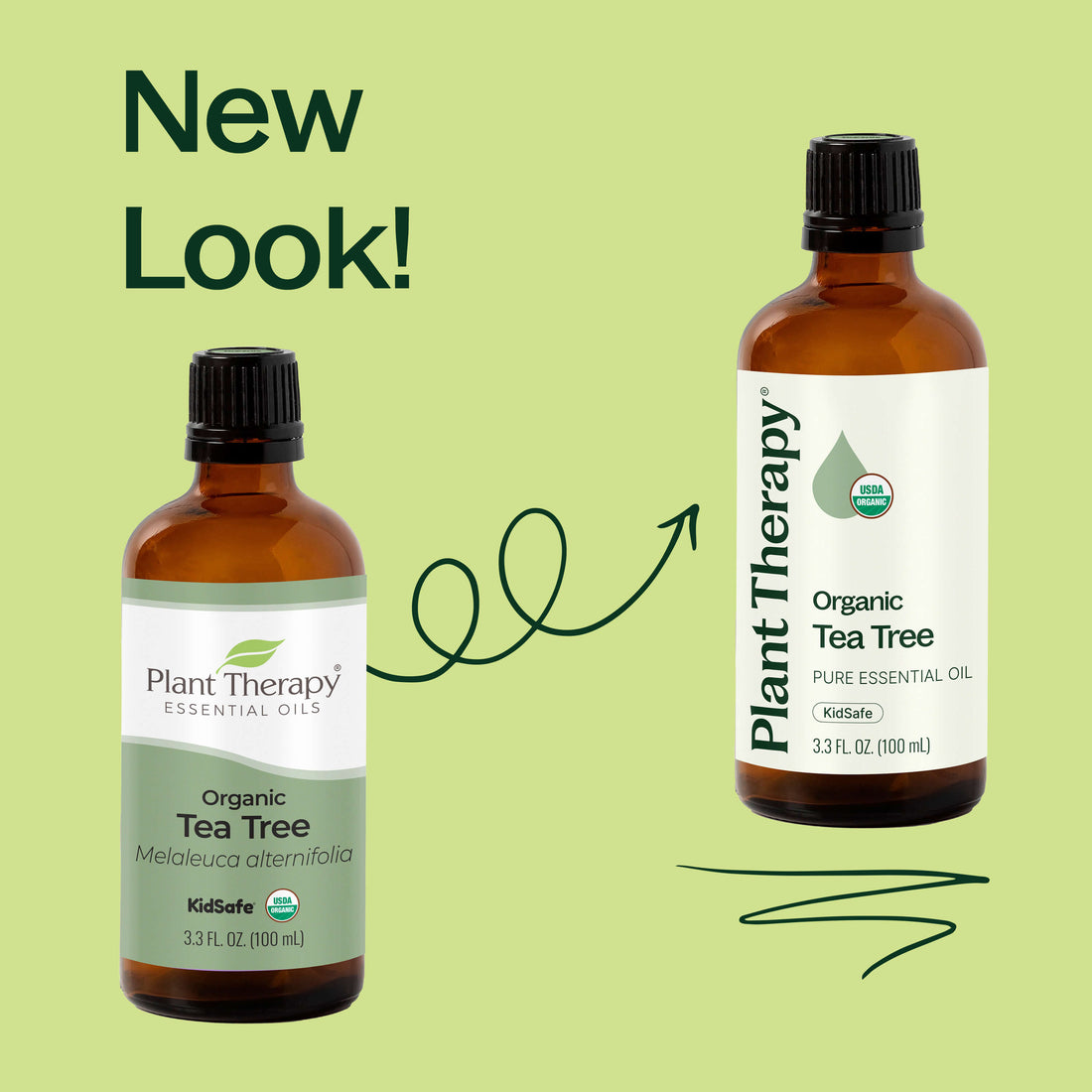 Organic Tea Tree Oil | Organic Tea Tree Essential Oils For Sale | Plant ...
