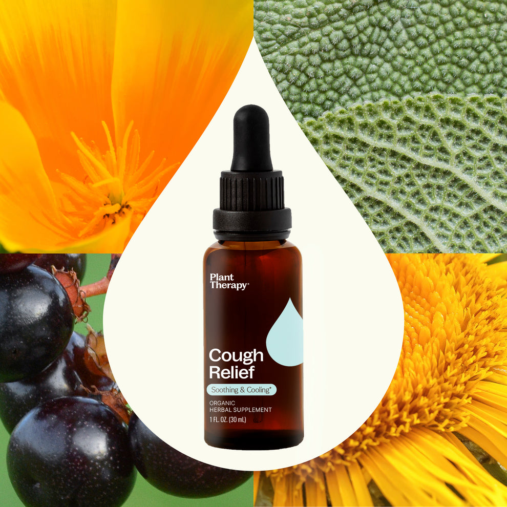 Cough Relief Bundle – Plant Therapy