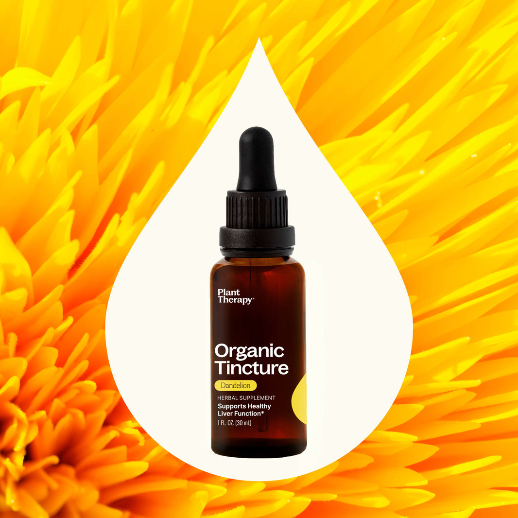 New Arrivals at Plant Therapy - Discover the Latest in Essential Oils ...