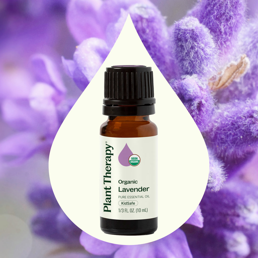 Plant-Based Beauty Products | Natural Living Solutions | Plant Therapy