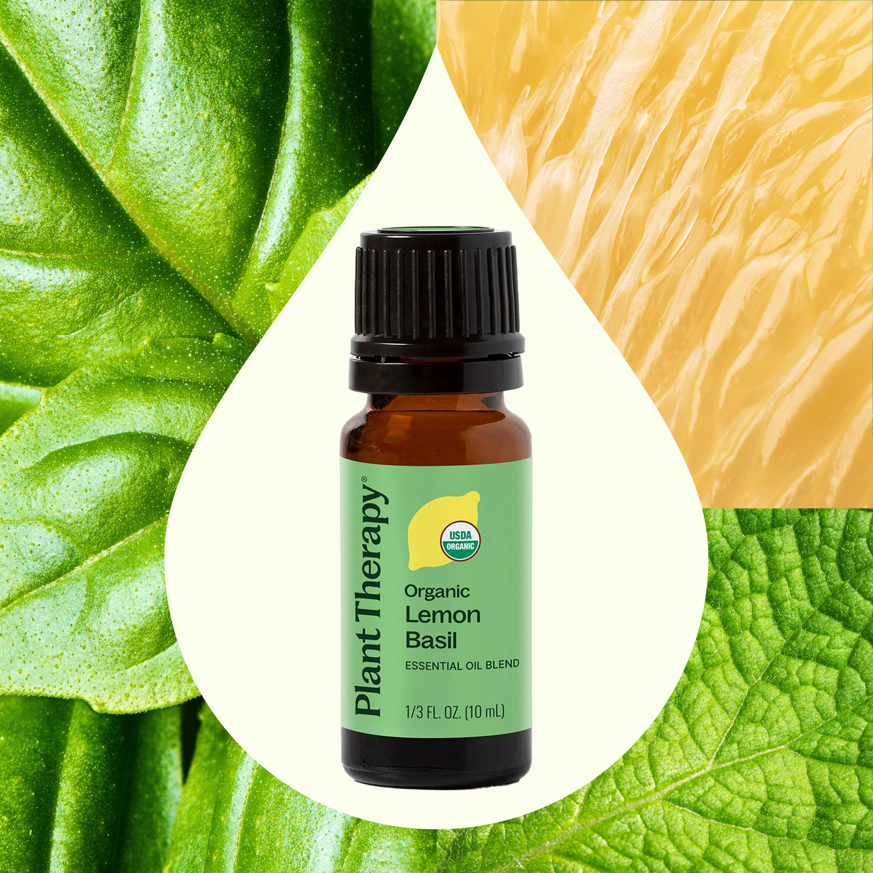 Plant-Based Beauty Products | Natural Living Solutions | Plant Therapy
