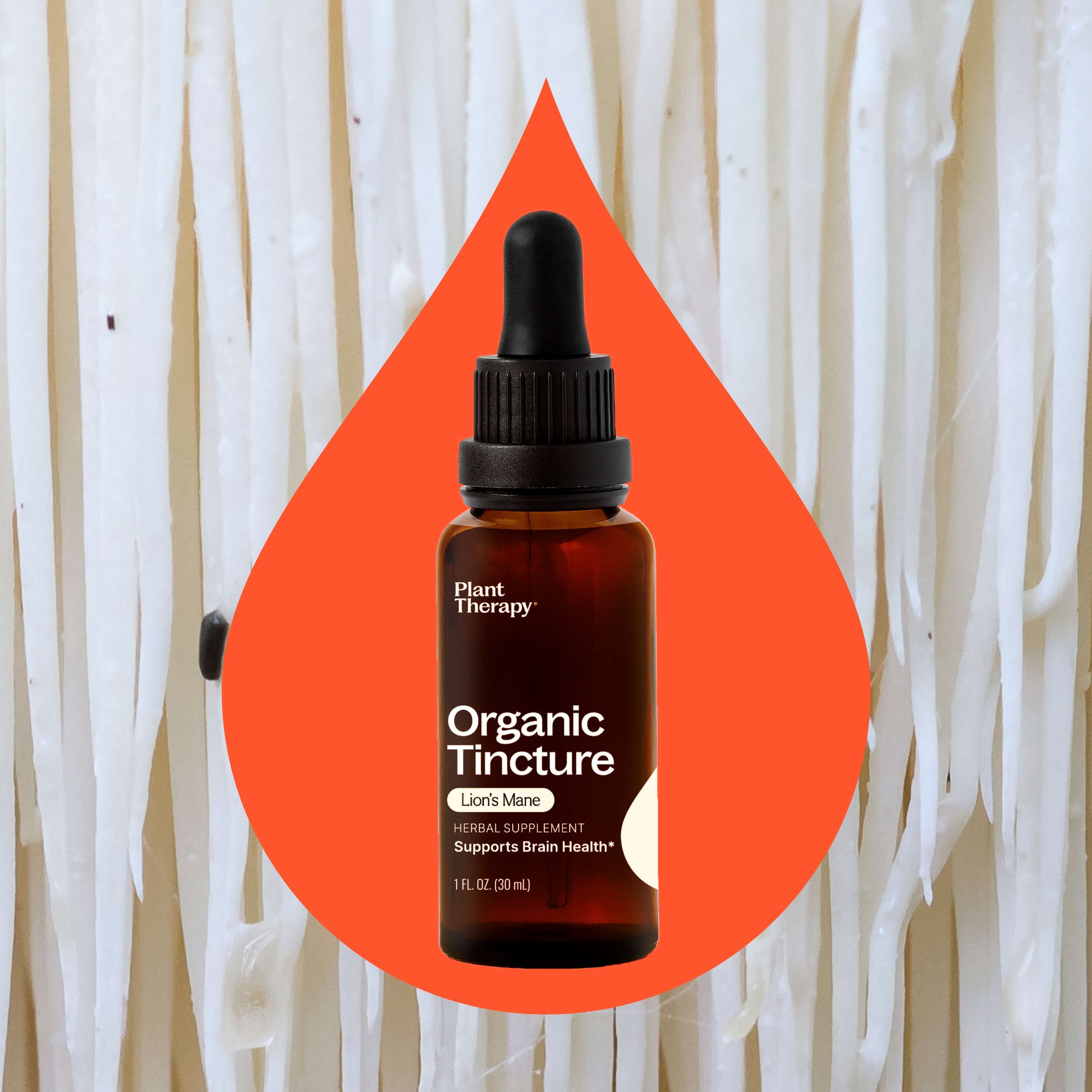 Organic Lion's Mane Tincture – Plant Therapy