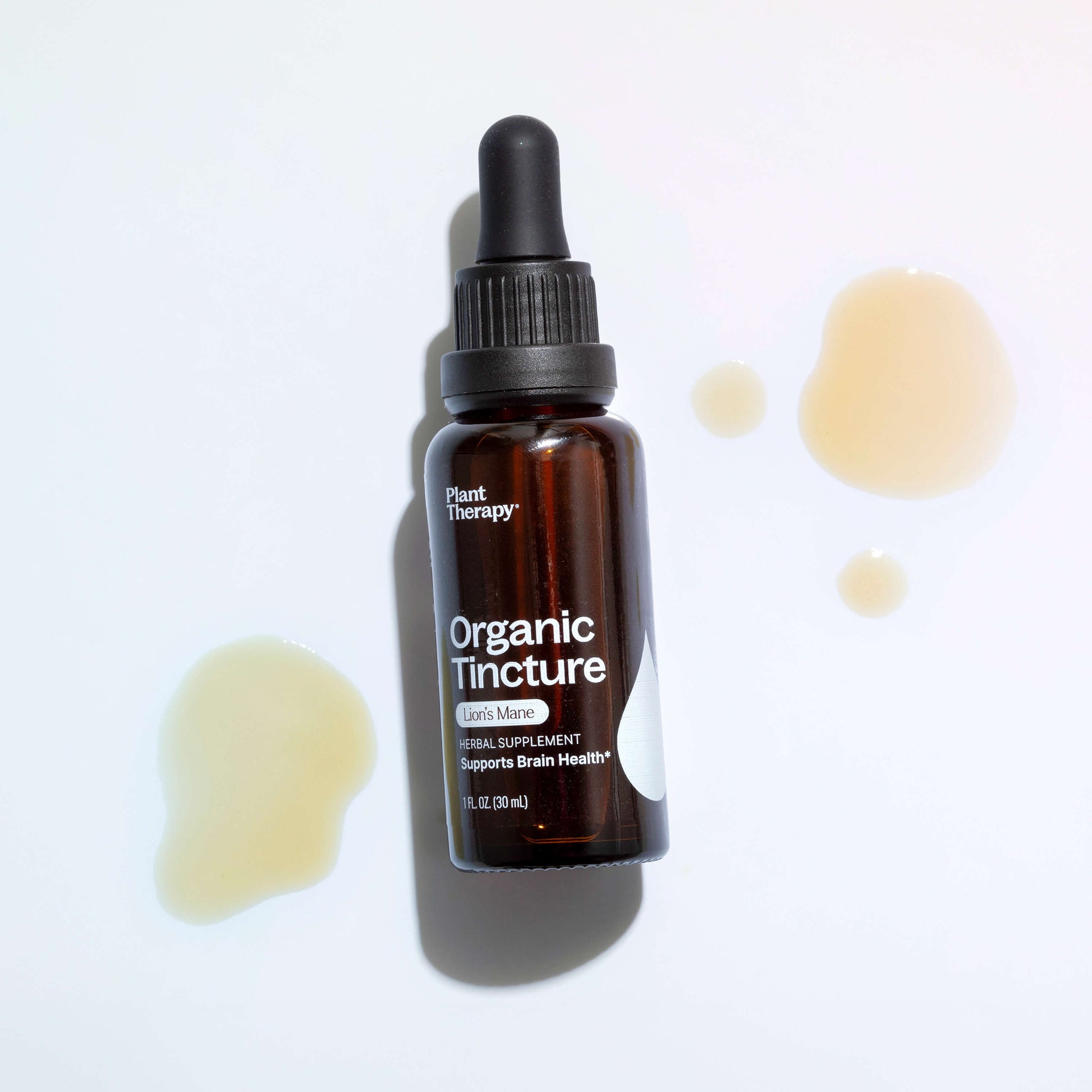 Organic Lion's Mane Tincture – Plant Therapy