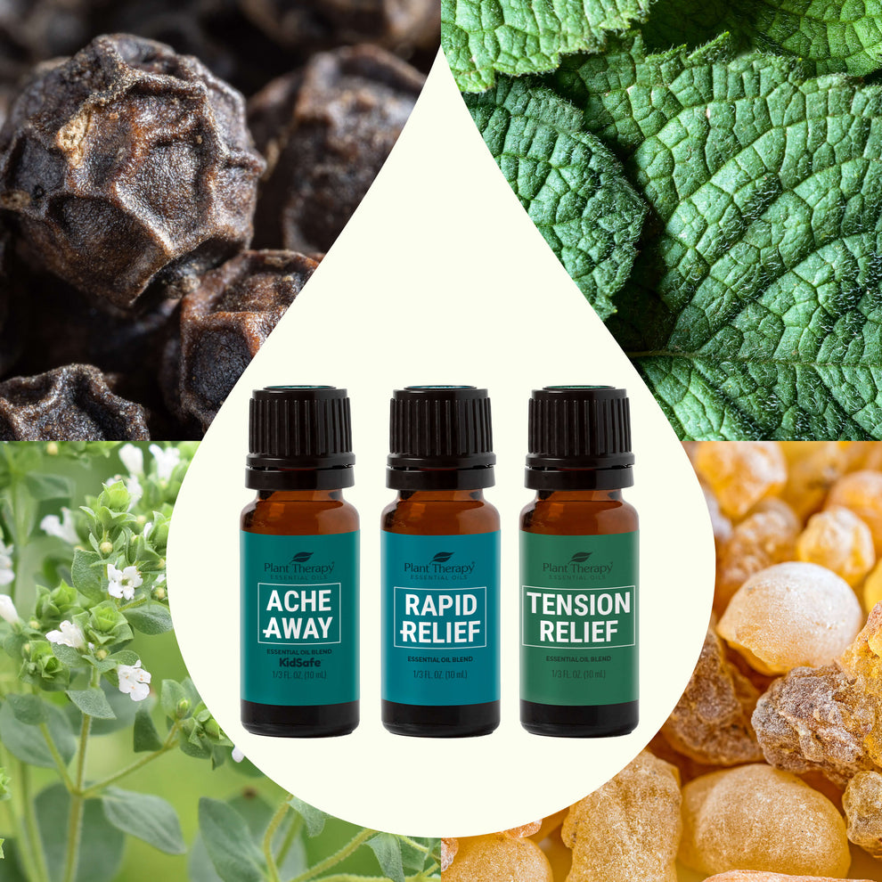 Pain Support Essential Oil Blend Set – Plant Therapy