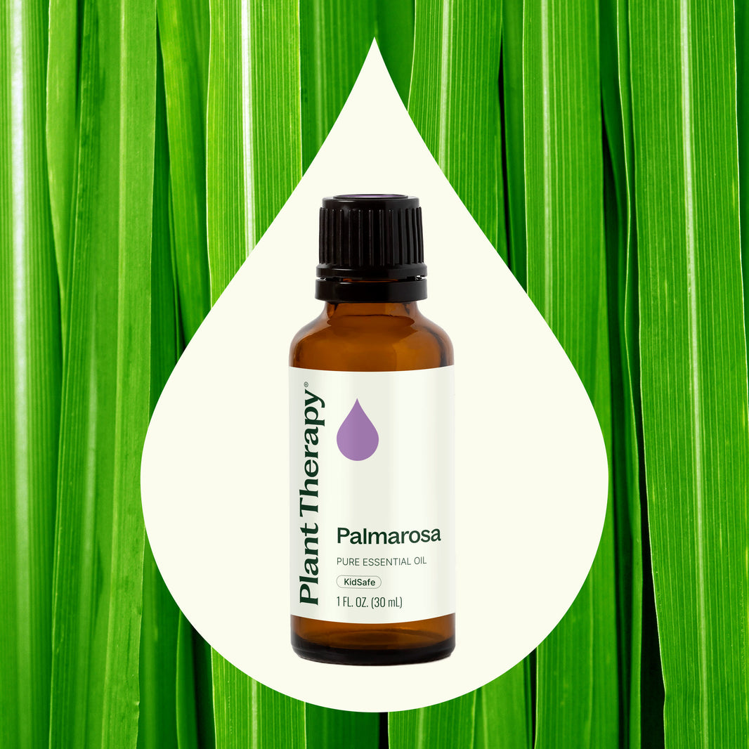 Palmarosa Essential Oil | Benefits of Palmarosa Essential Oils | Plant ...