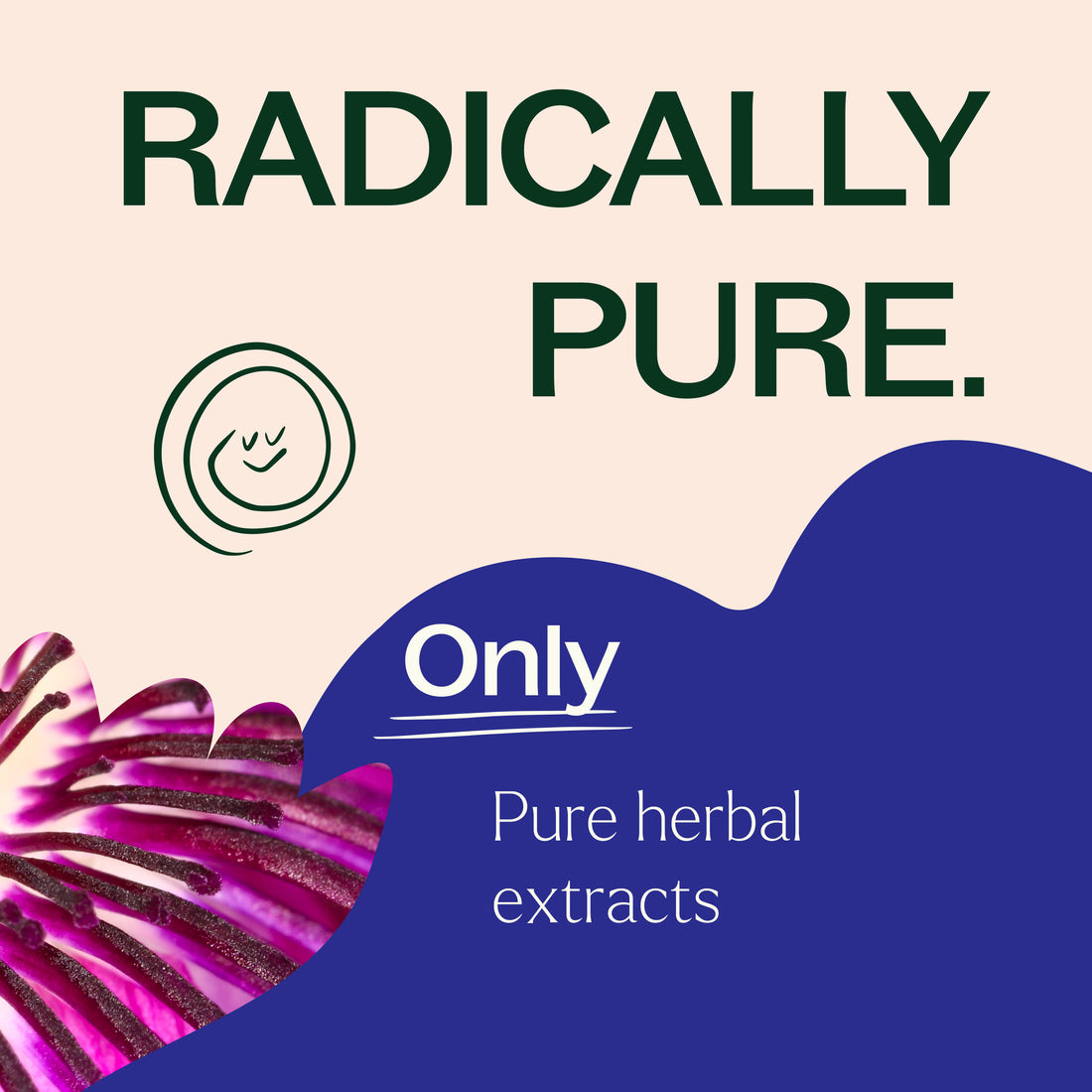 Passionflower Pills | Passionflower Herbal Capsules | Plant Therapy