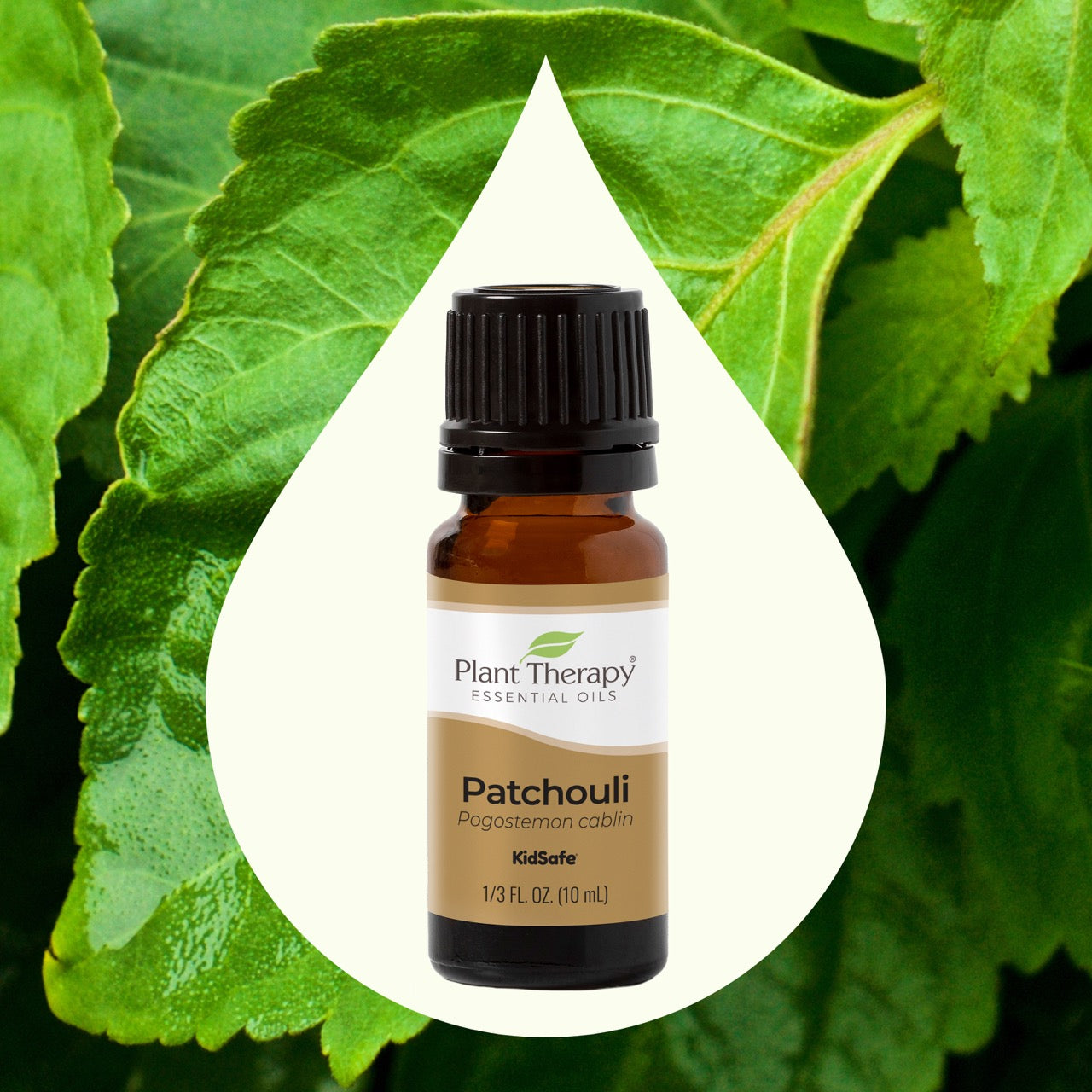 Patchouli Essential Oil | Patchouli Essential Oil For Relaxation ...