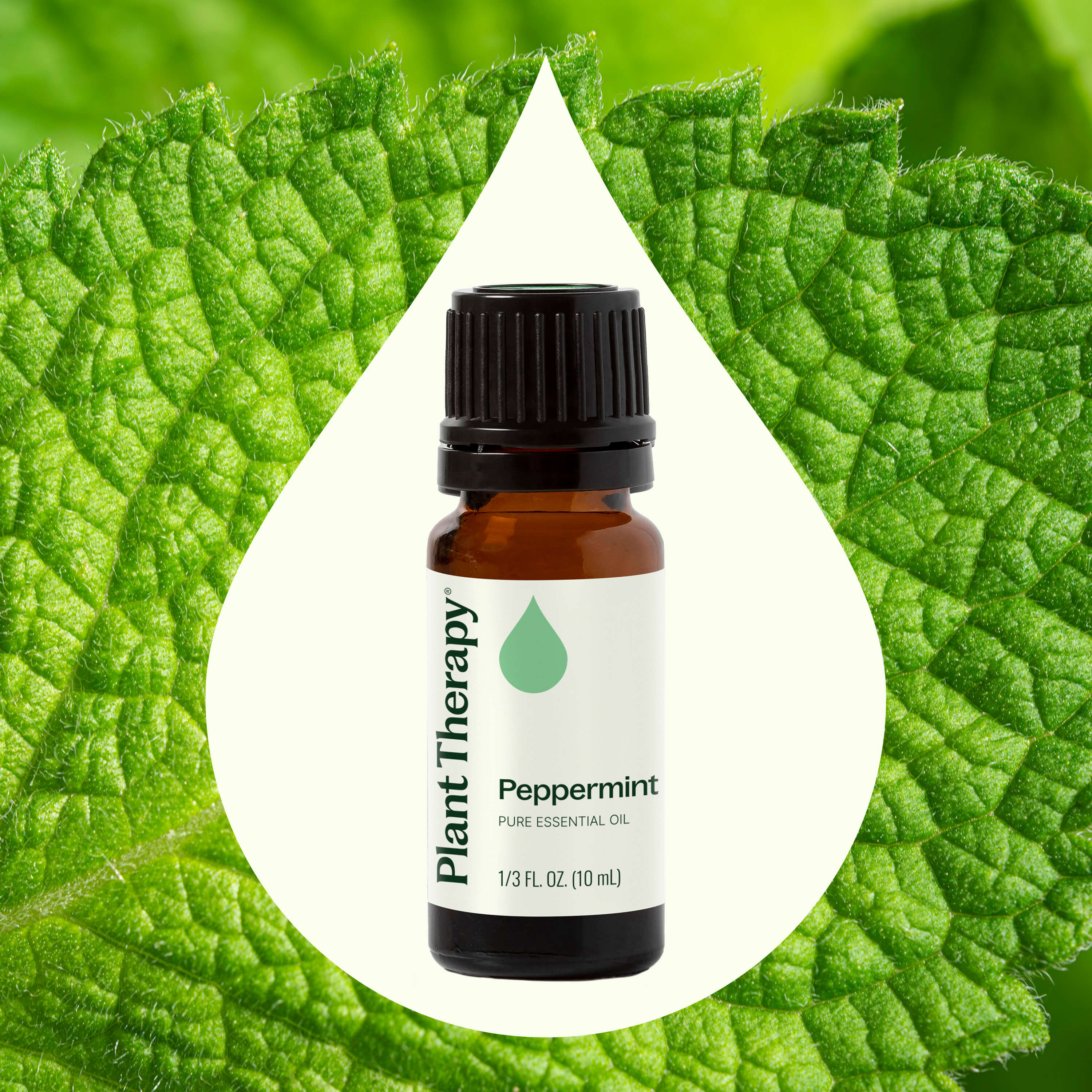 Peppermint Essential Oil | Peppermint Essential Oils For Aromatherapy ...