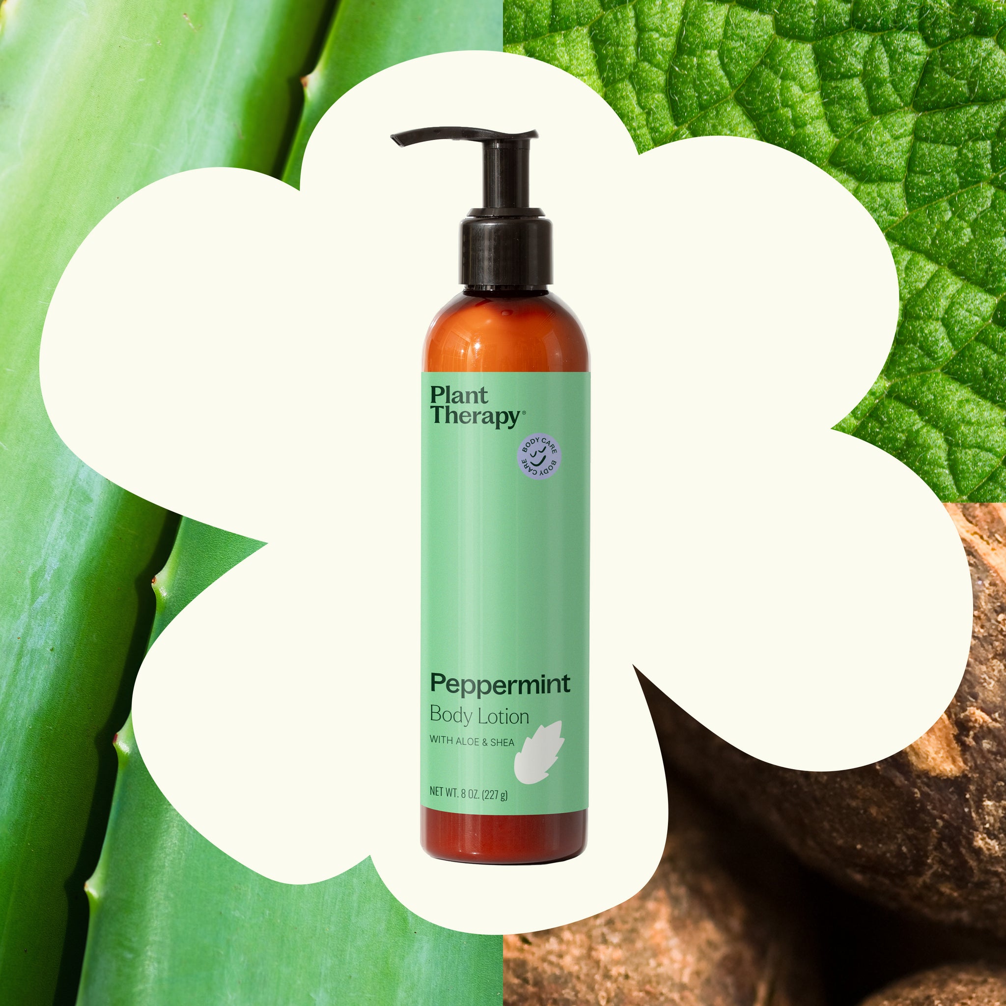 Peppermint Body Lotion with Aloe and Shea – Plant Therapy