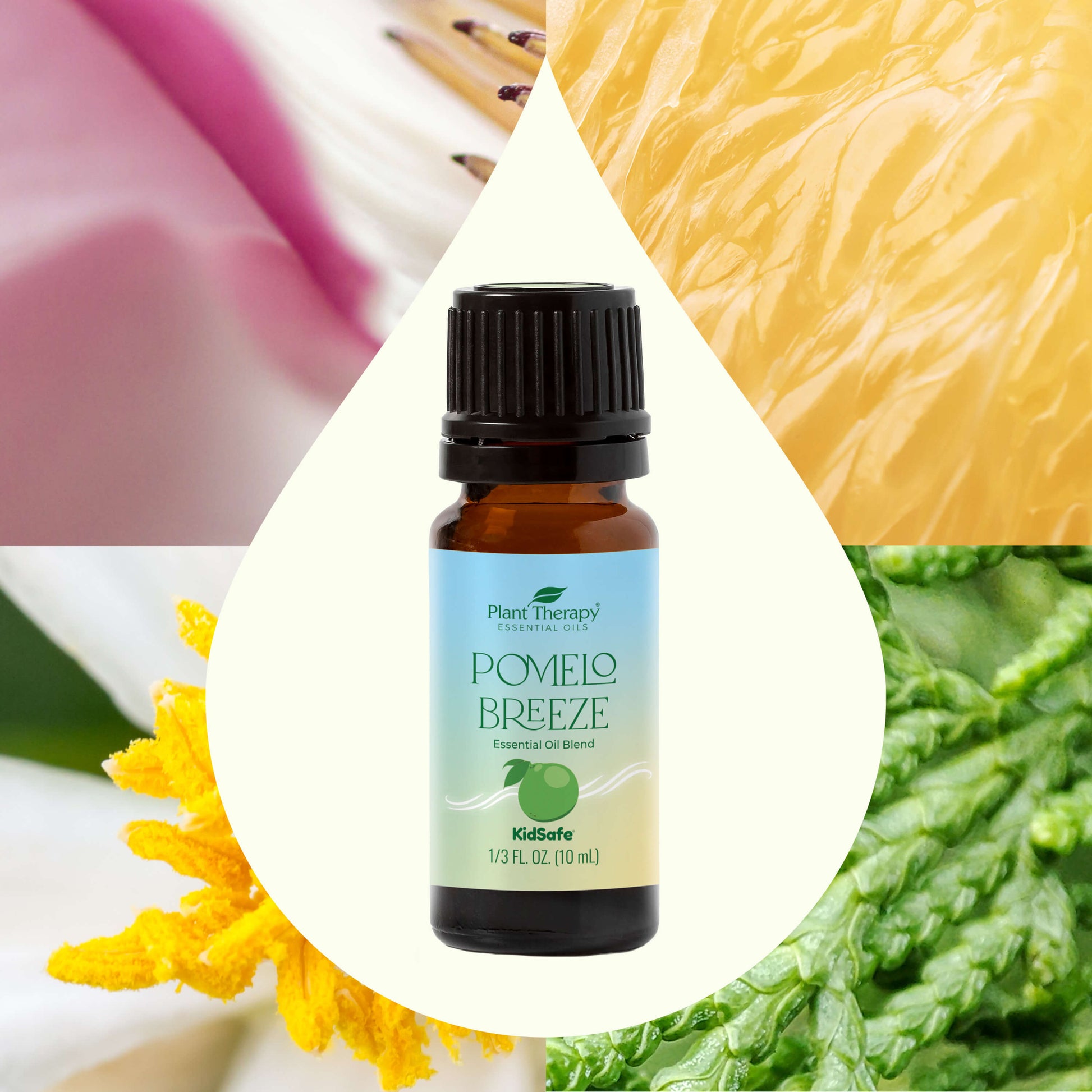 Pomelo Breeze Essential Oil Blend – Plant Therapy