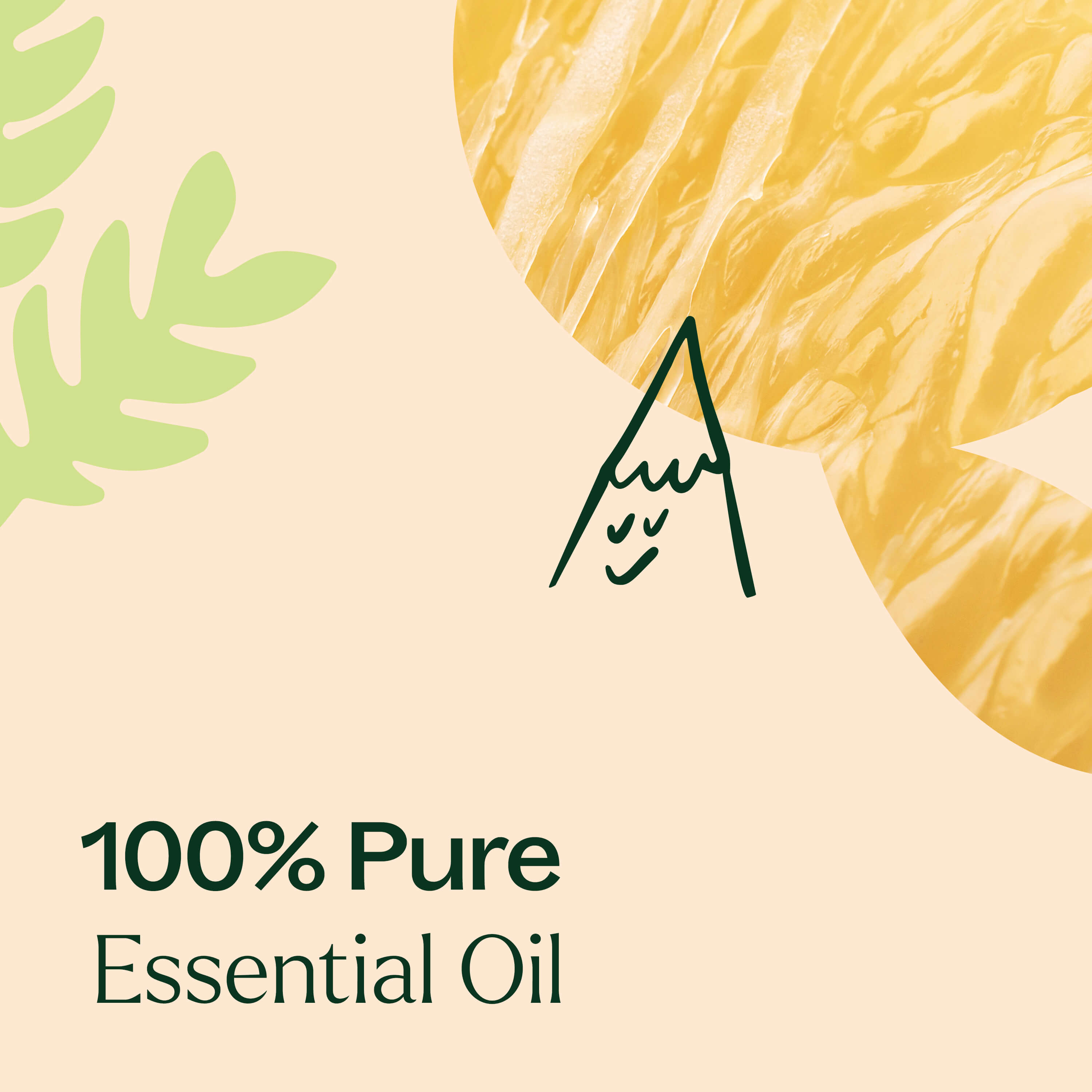Pomelo Breeze Essential Oil Blend – Plant Therapy