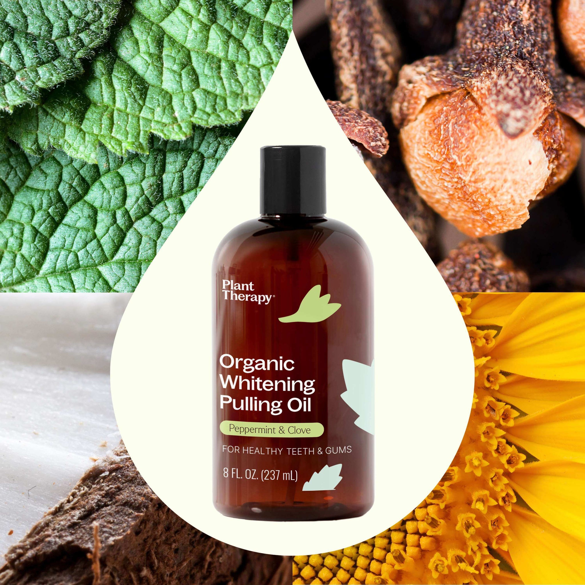Organic Whitening Pulling Oil | Oil Pulling Products | Plant Therapy