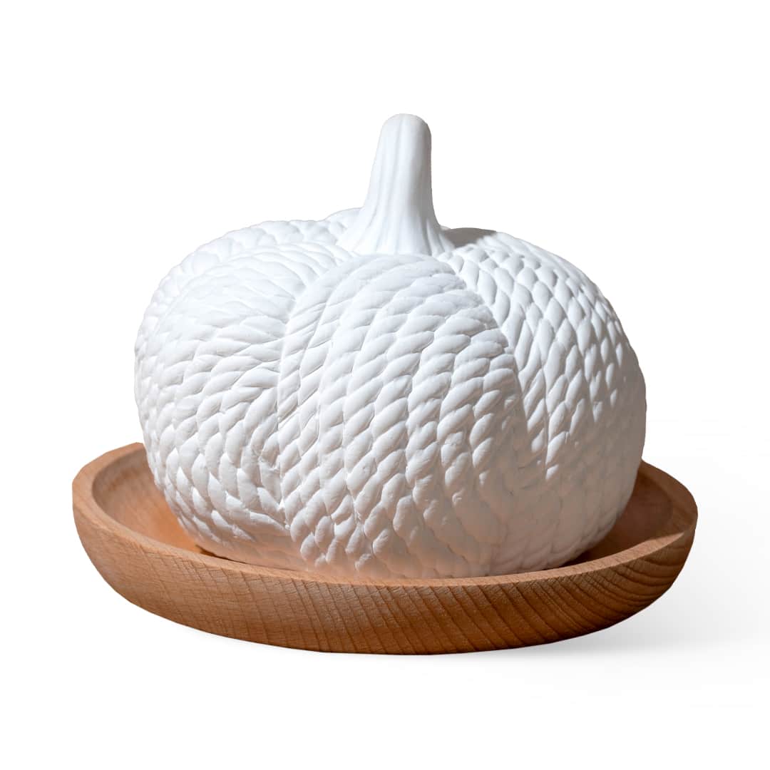 Pumpkin Passive Diffuser – Plant Therapy