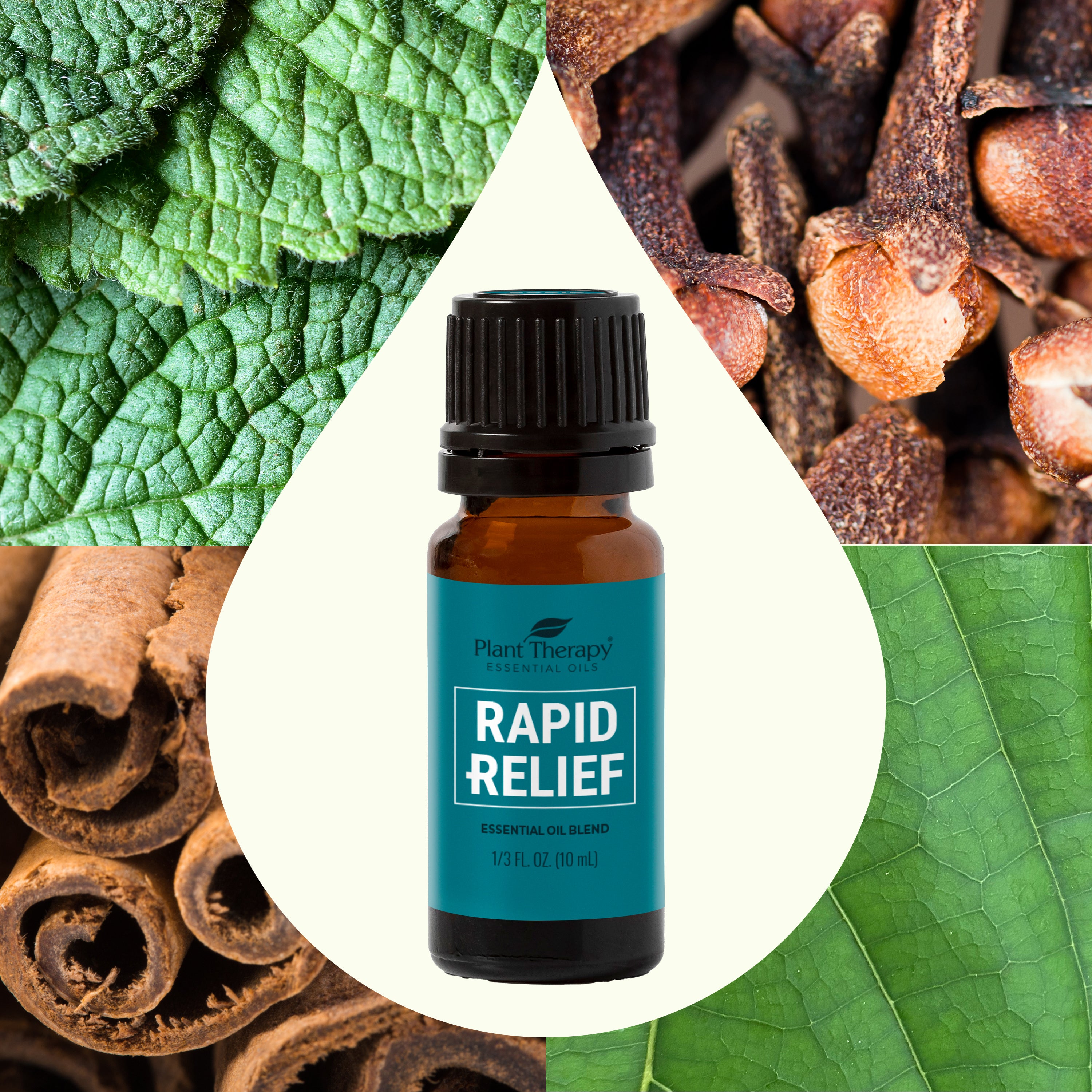 Rapid Relief Essential Oil Blend – Plant Therapy