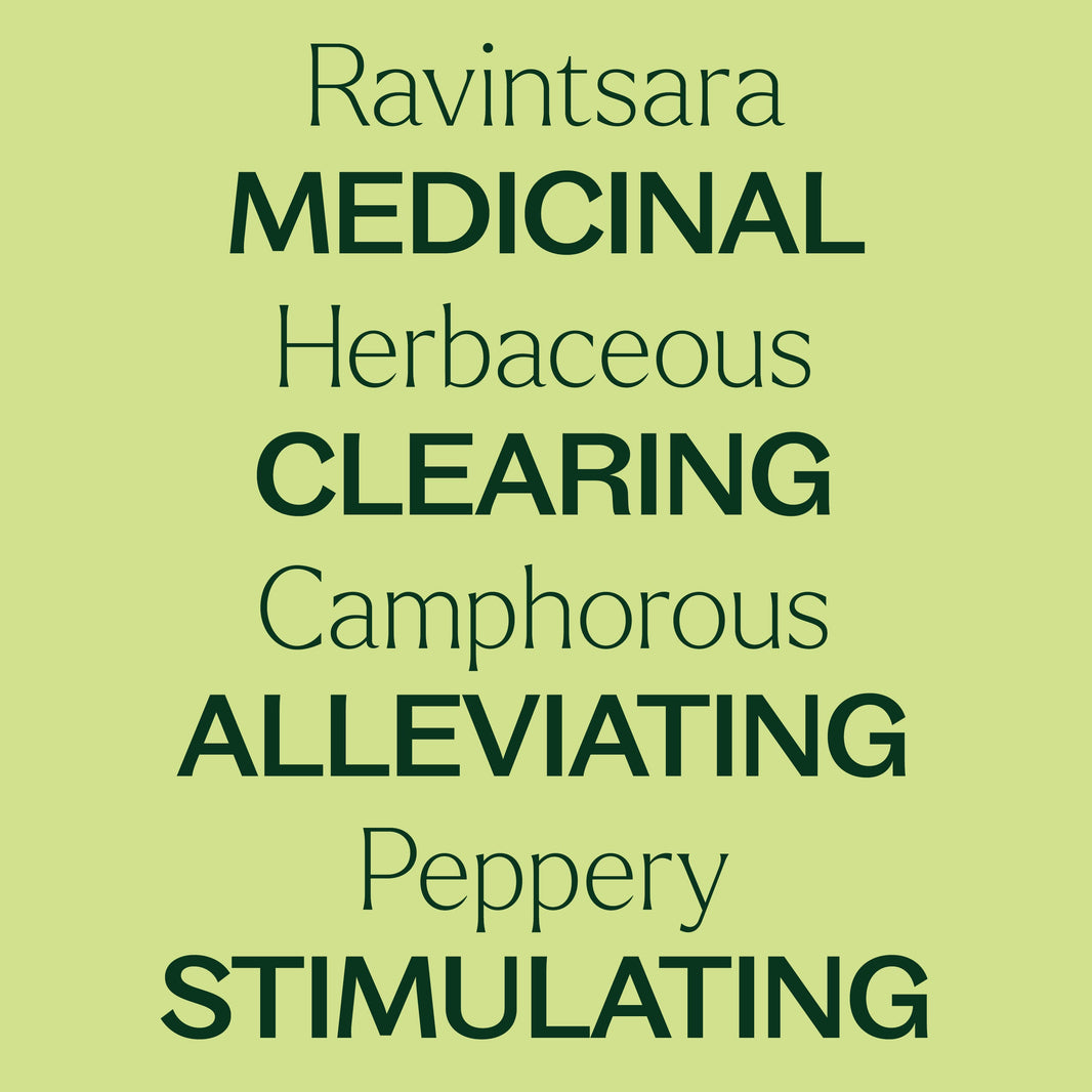 Ravintsara Essential Oil – Plant Therapy