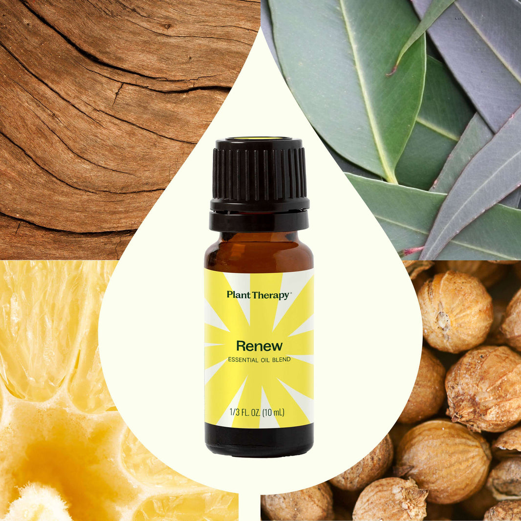 New Arrivals at Plant Therapy - Discover the Latest in Essential Oils ...