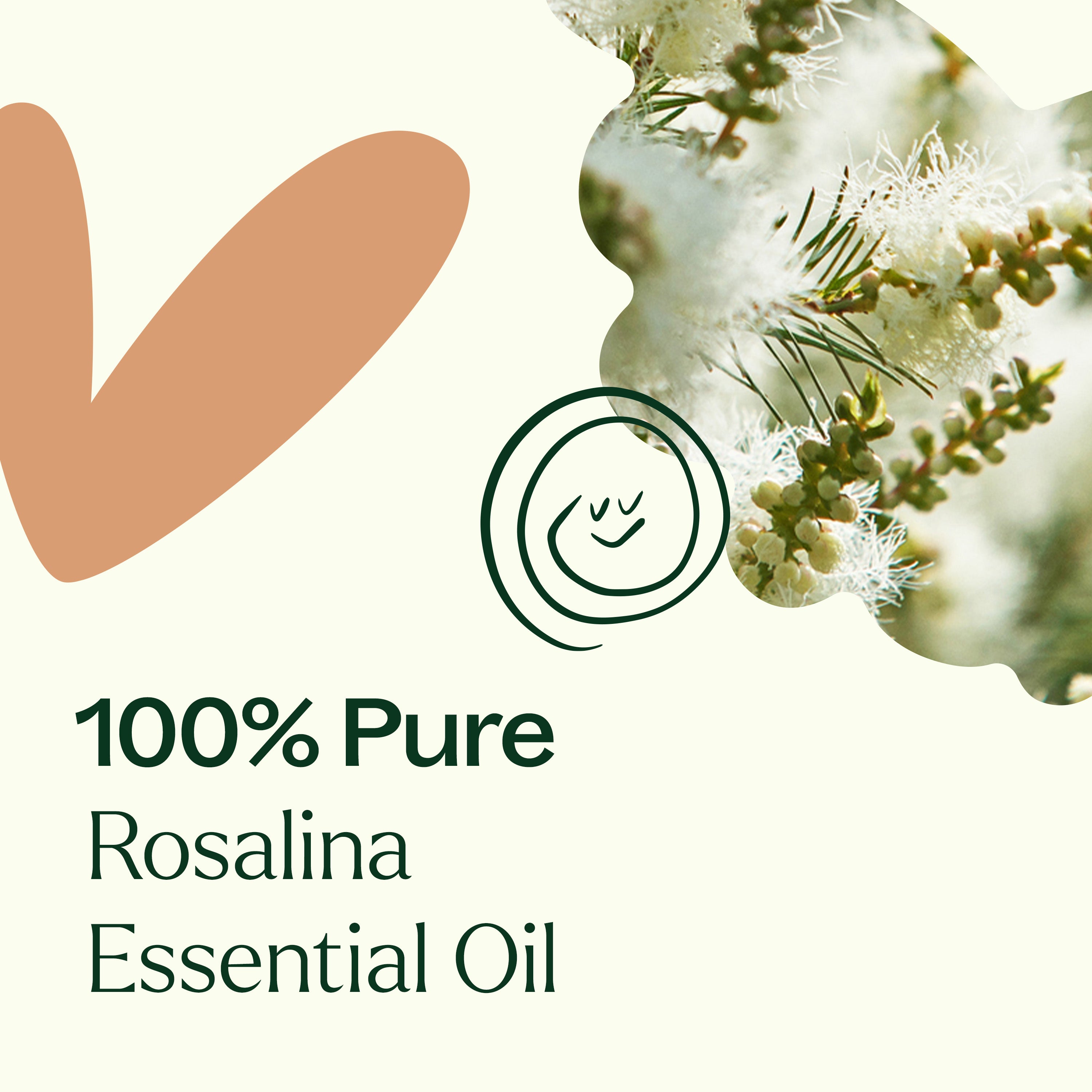 Rosalina Essential Oil – Plant Therapy