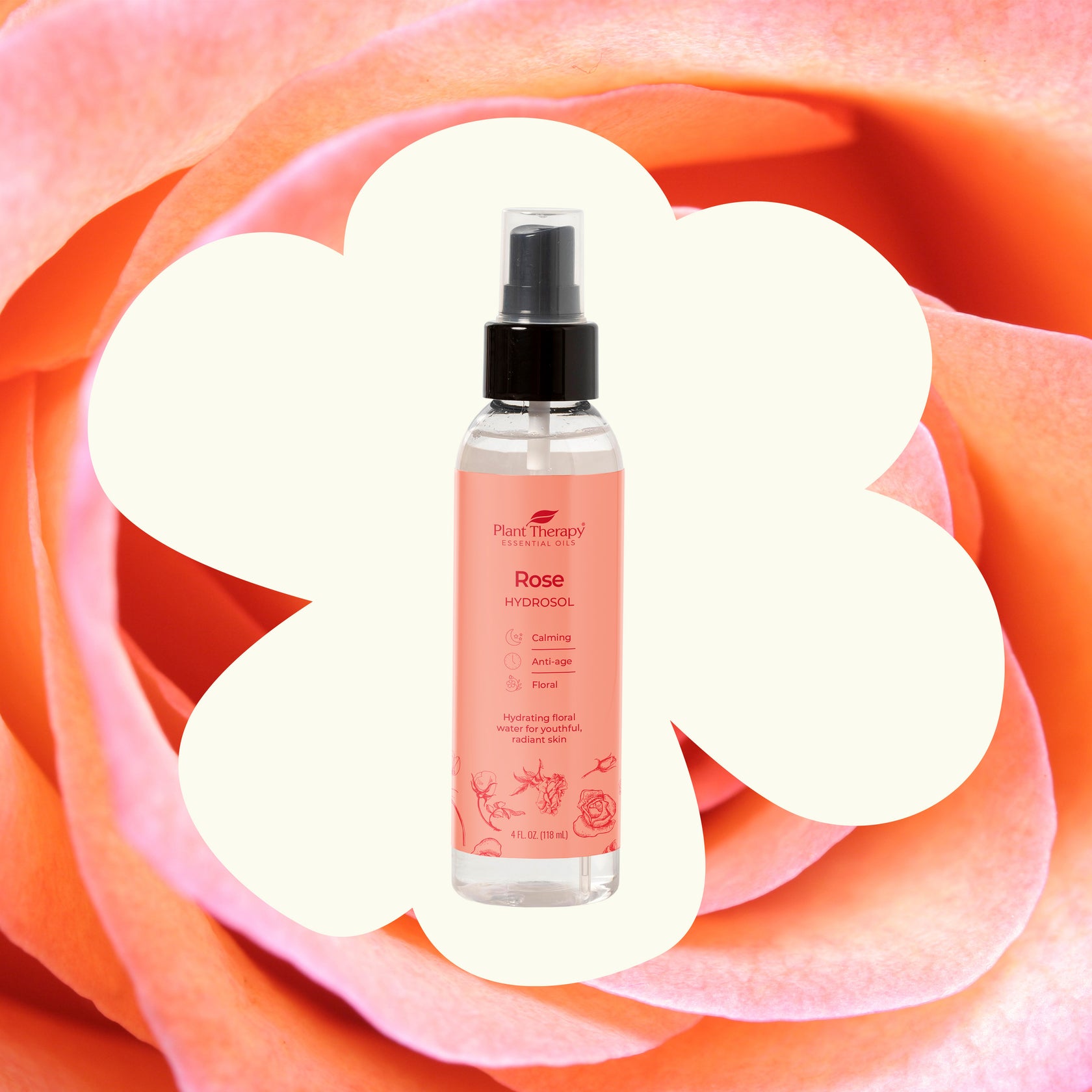 Rose Hydrosol – Plant Therapy