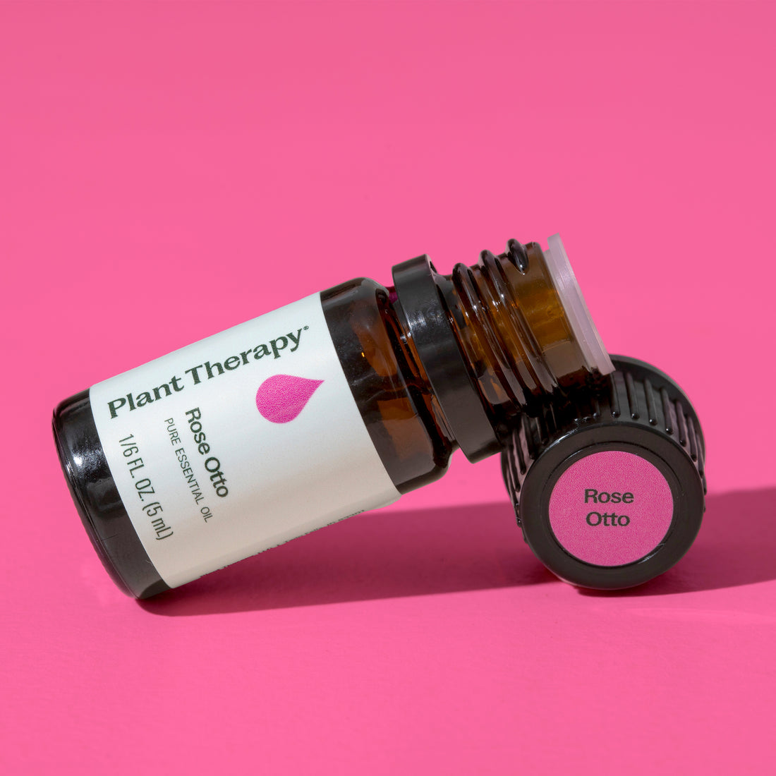 Rose Otto Essential Oil – Plant Therapy
